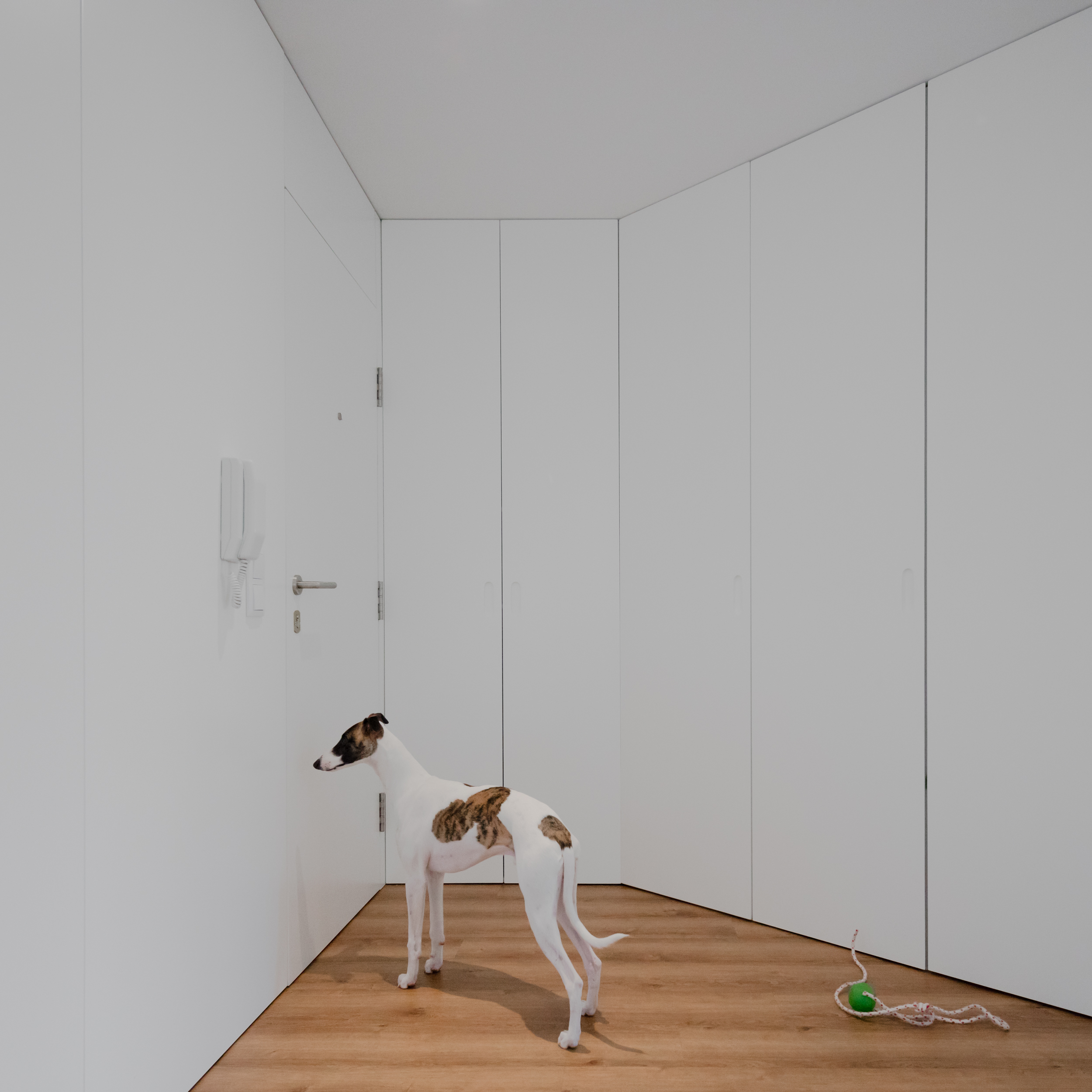 Xavi House by Contexto ® - Architizer