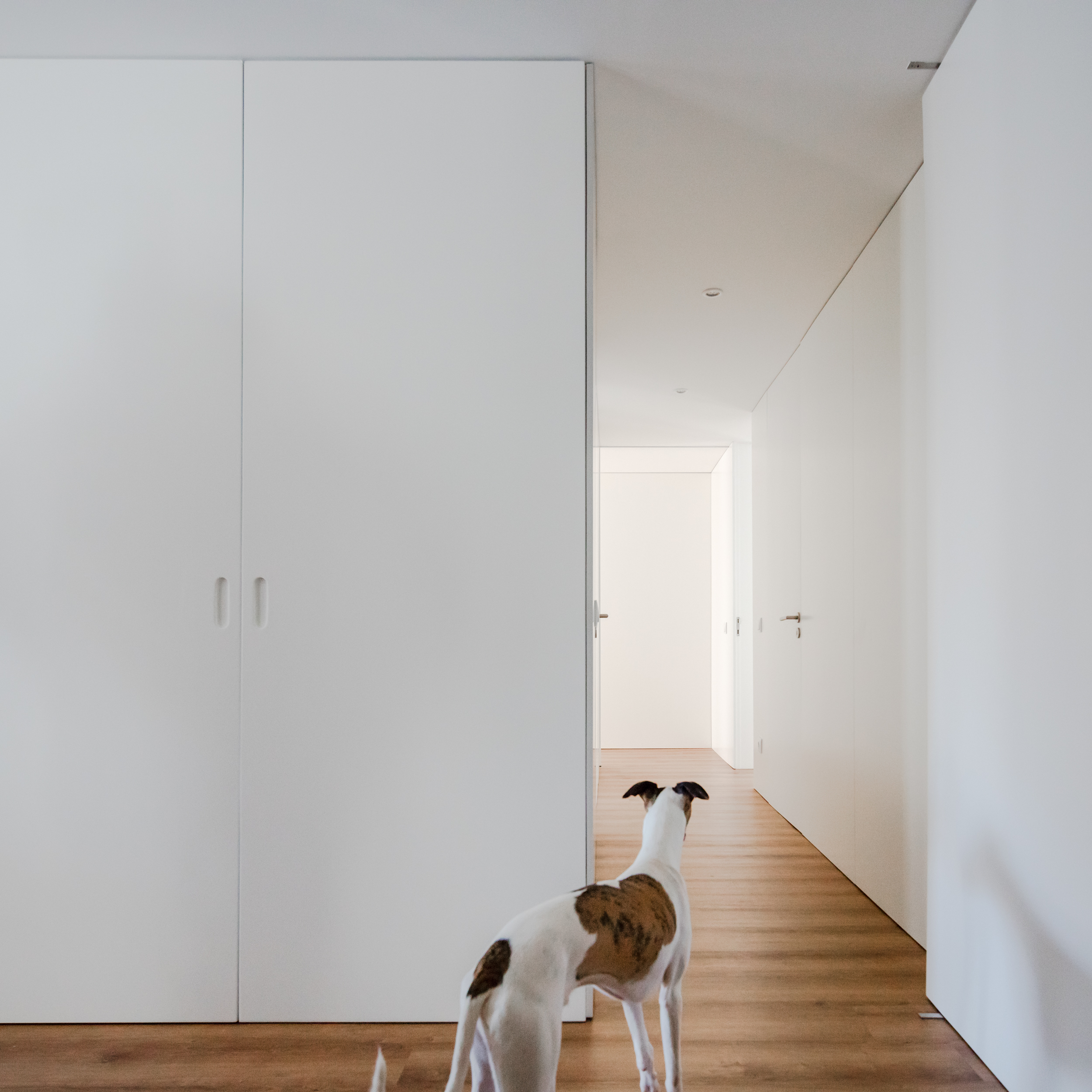 Xavi House by Contexto ® - Architizer