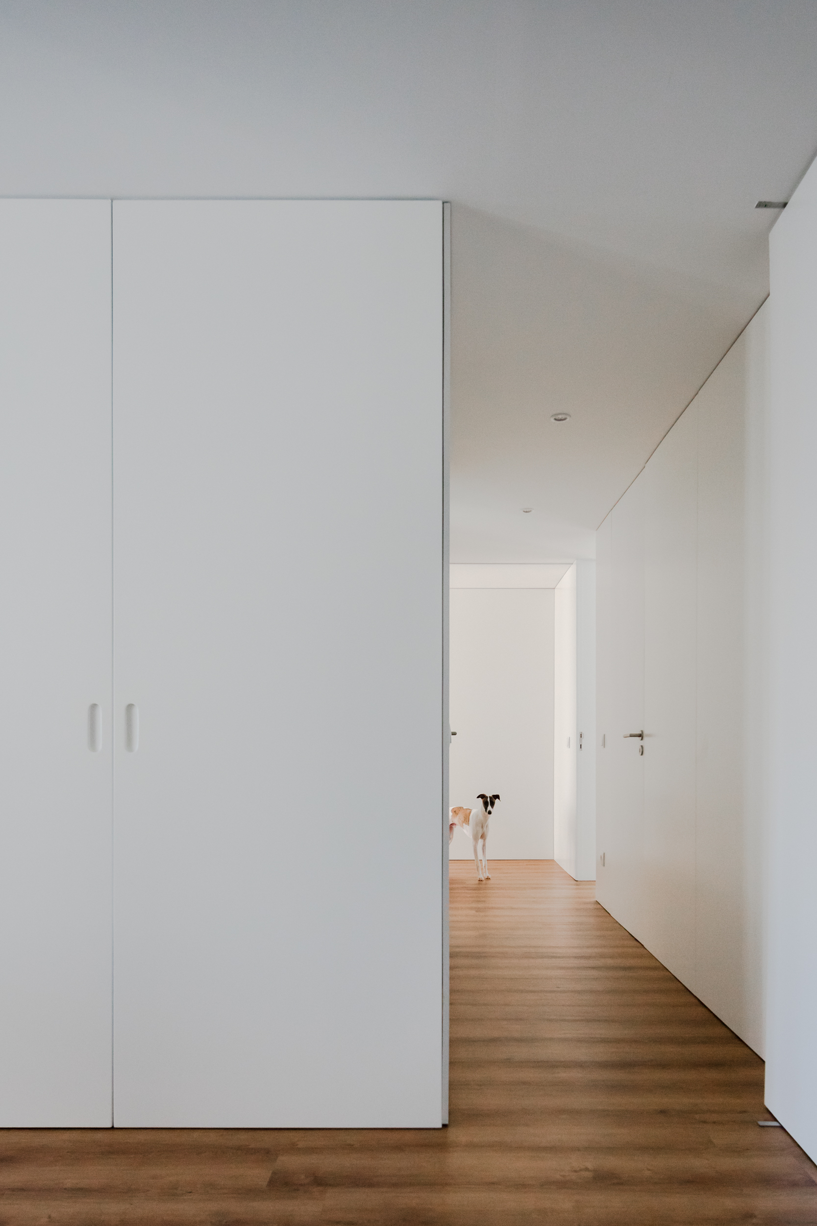 Xavi House by Contexto ® - Architizer