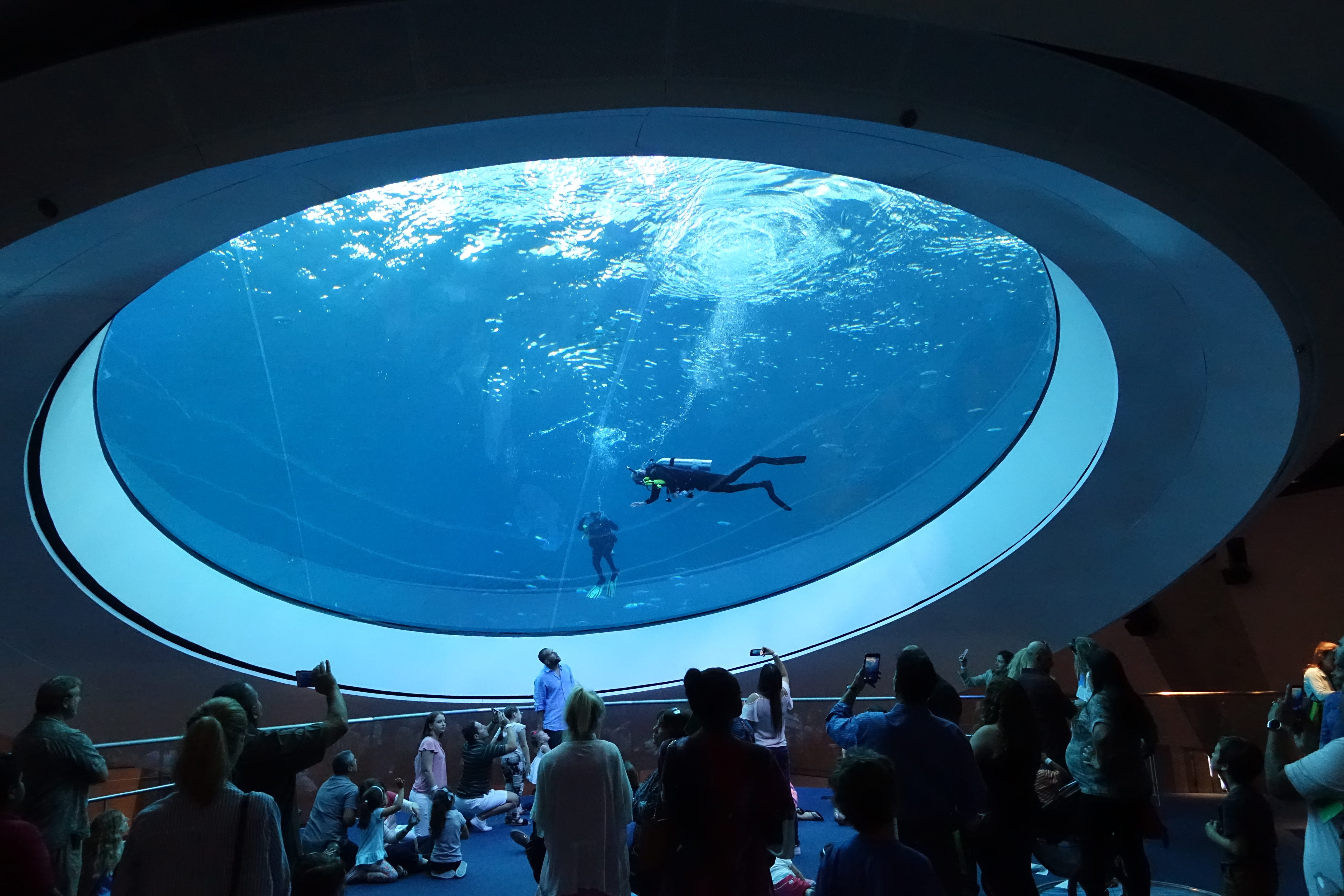 Phillip and Patricia Frost Museum of Science by Grimshaw Architects ...