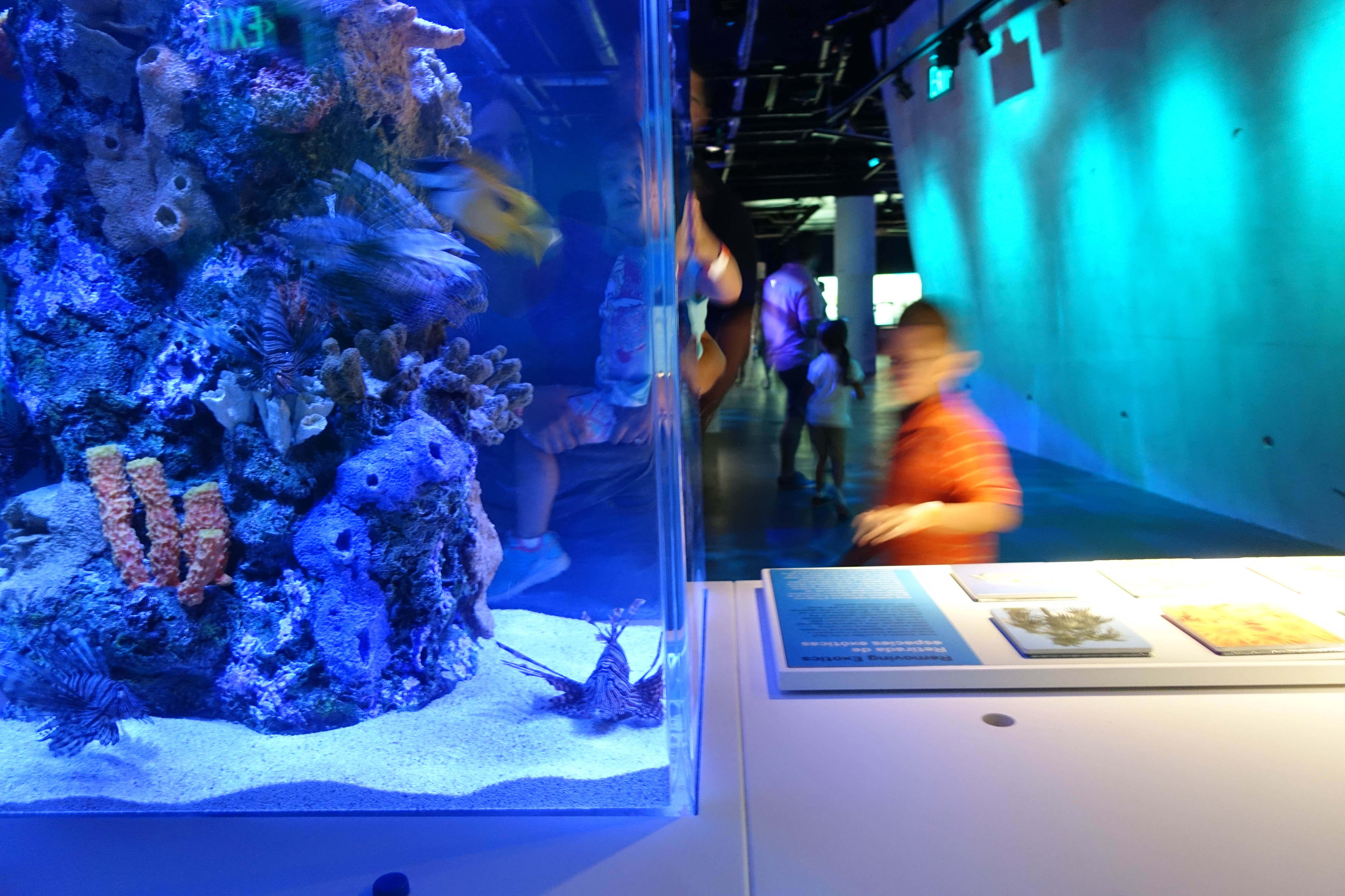 Phillip and Patricia Frost Museum of Science by Grimshaw Architects ...