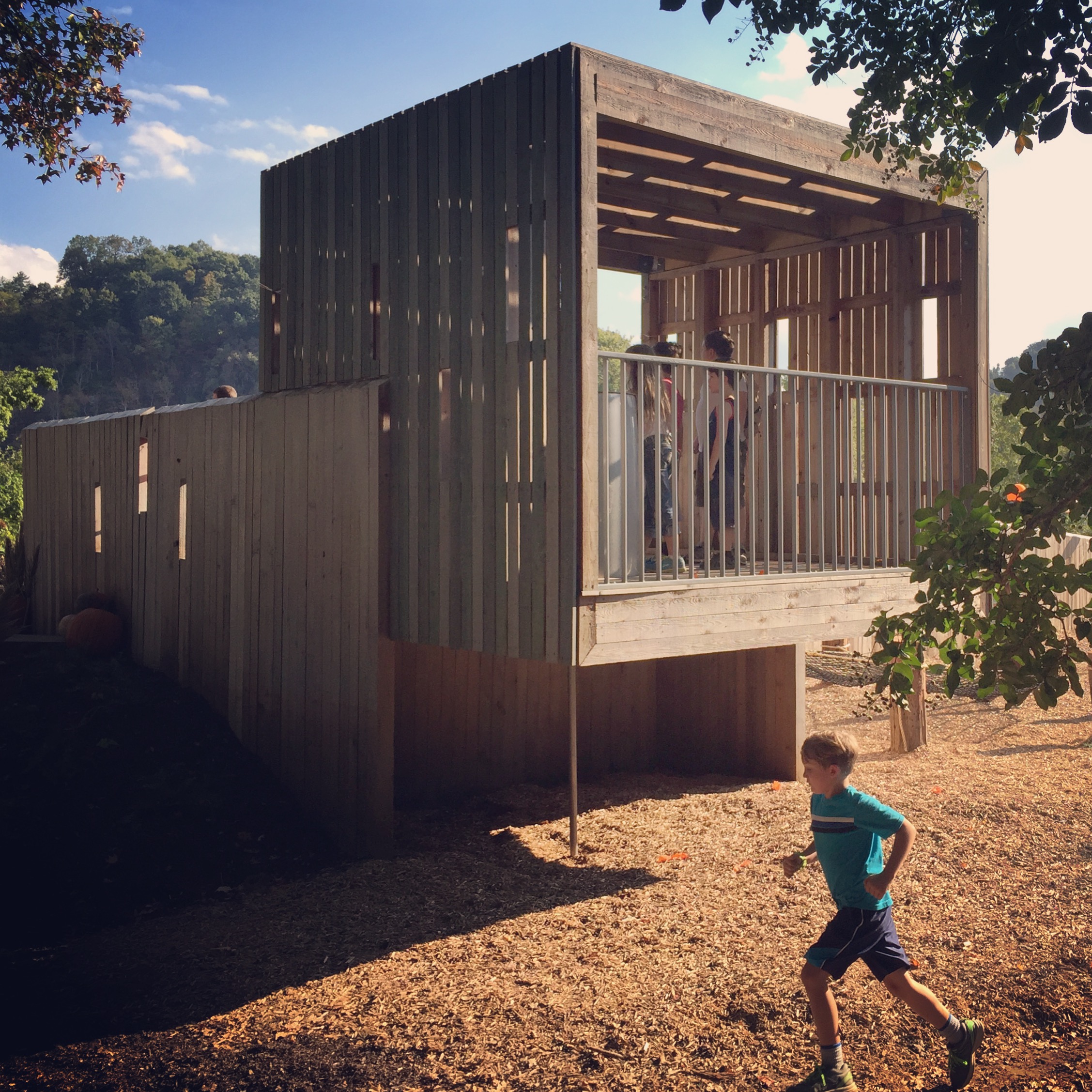 Nest - A Treehouse at the UT Gardens by Sanders Pace Architecture ...