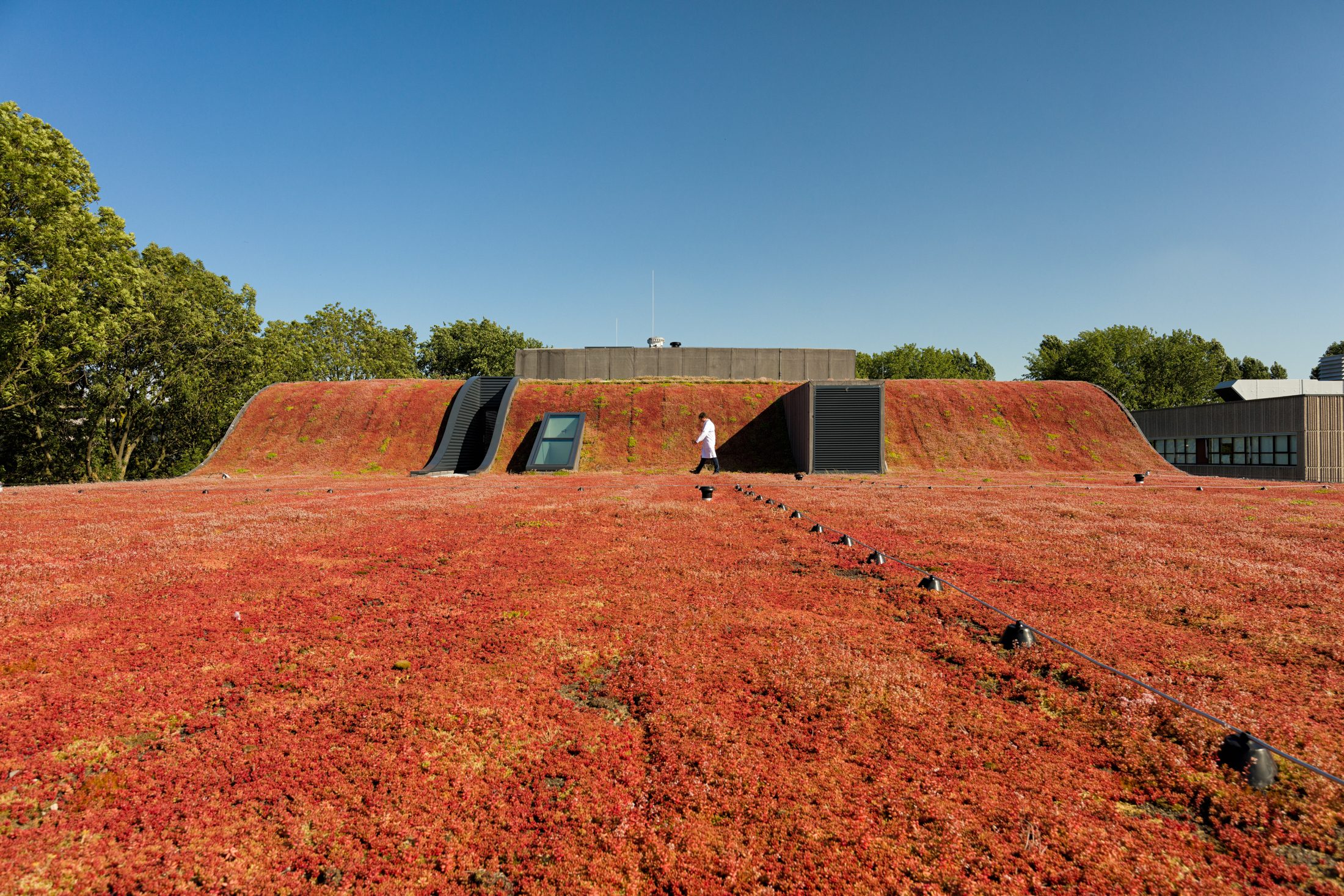 Rob van Esch | Architectuurfotograaf - Architizer