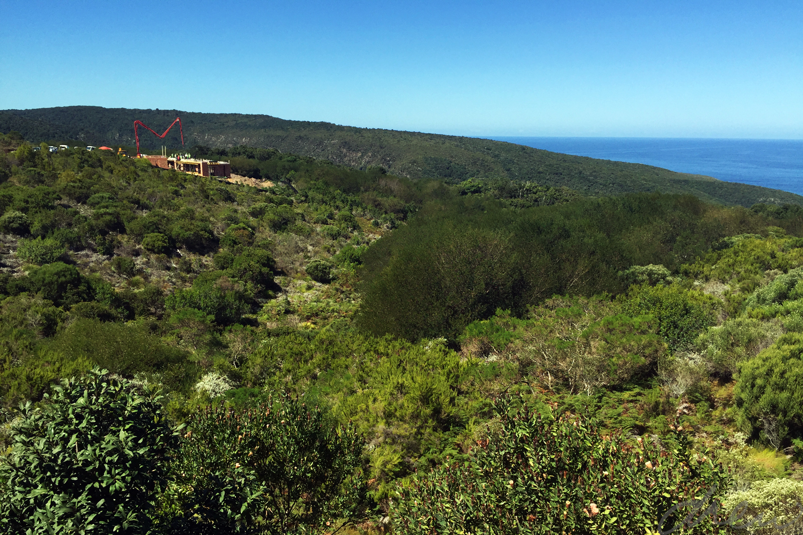 fynbos house by Drew Architects + Interiors - Architizer