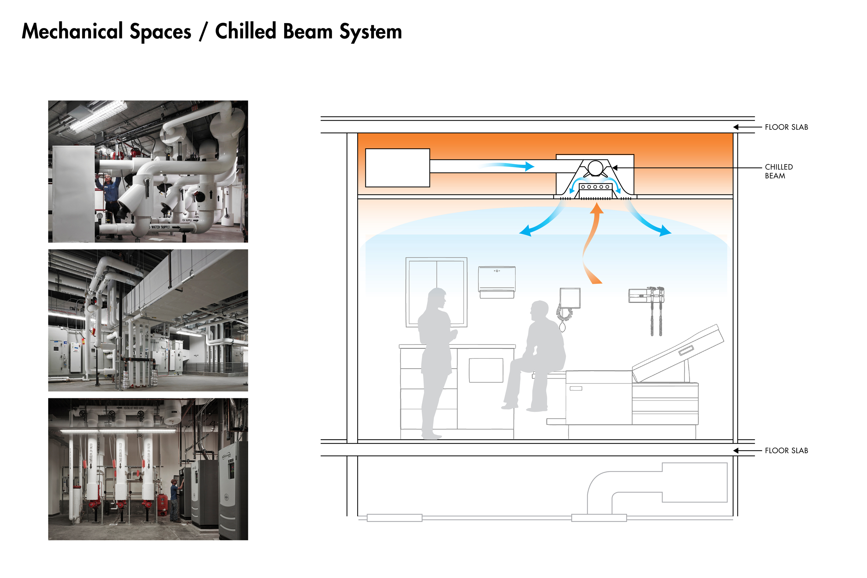 Idea 2113818: The University of Arizona, The University of Arizona ...
