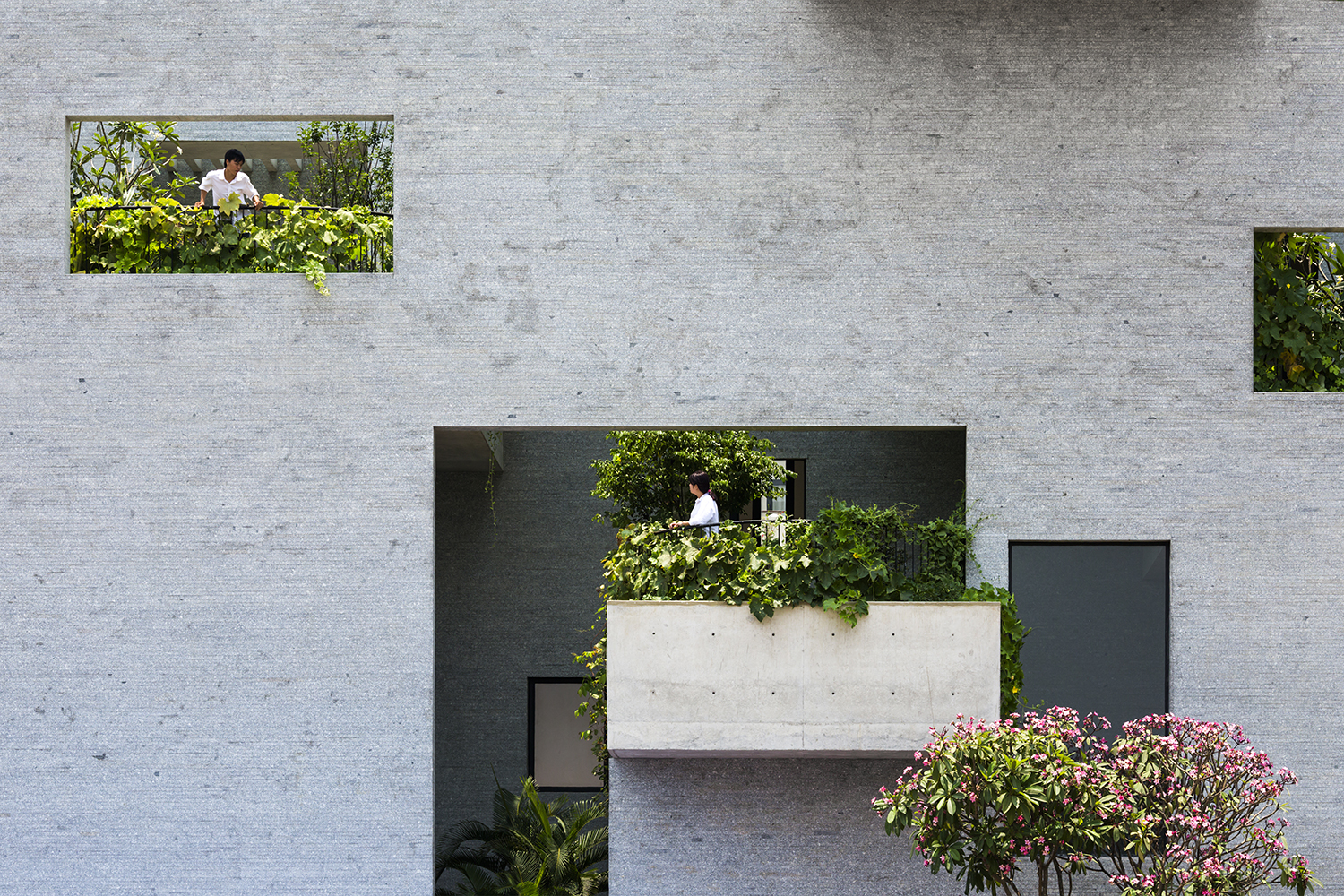 Binh House by Vo Trong Nghia Architects - Architizer