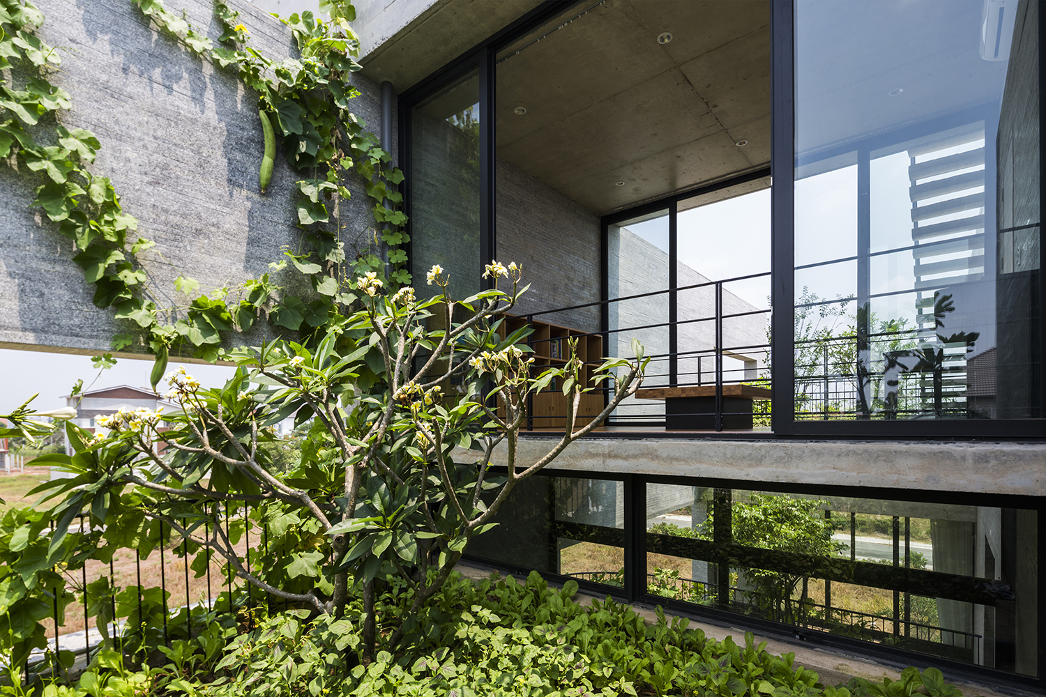 Binh House by Vo Trong Nghia Architects - Architizer