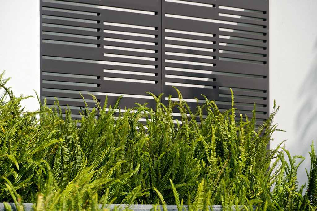 Casa Lumaly by Agraz Arquitectos S.C. - Architizer