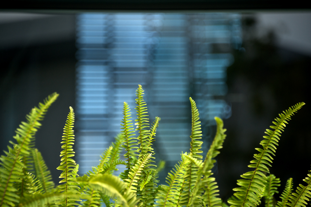 Casa Lumaly by Agraz Arquitectos S.C. - Architizer