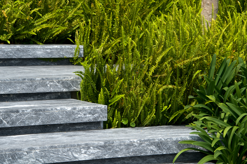 Casa Lumaly by Agraz Arquitectos S.C. - Architizer