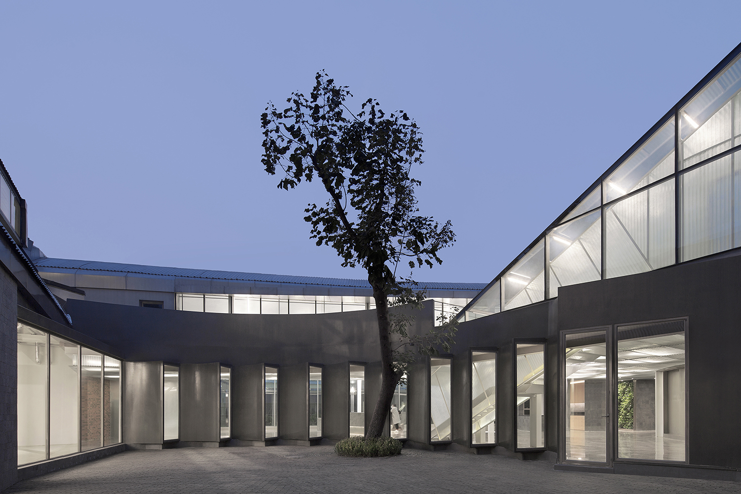 Twist and Turn: 6 Angled Windows That Will Warp Your Expectations ...