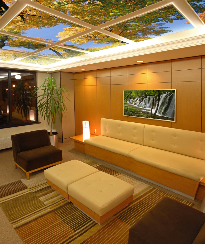Custom Printed Ceiling Tiles from Ceiling Scenes - Architizer