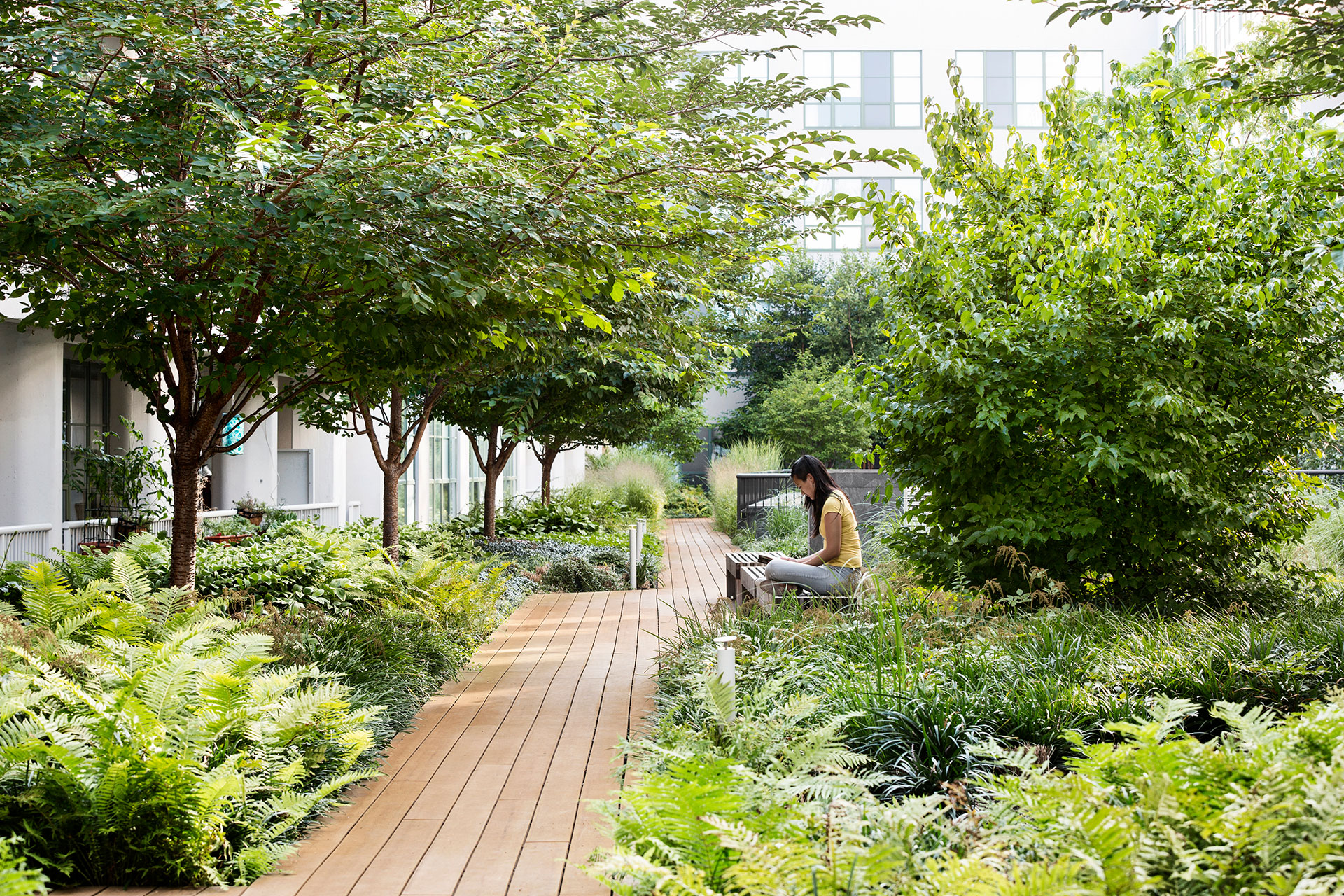 Austin Nichols Warehouse & Waterfront by SCAPE Landscape Architecture D ...