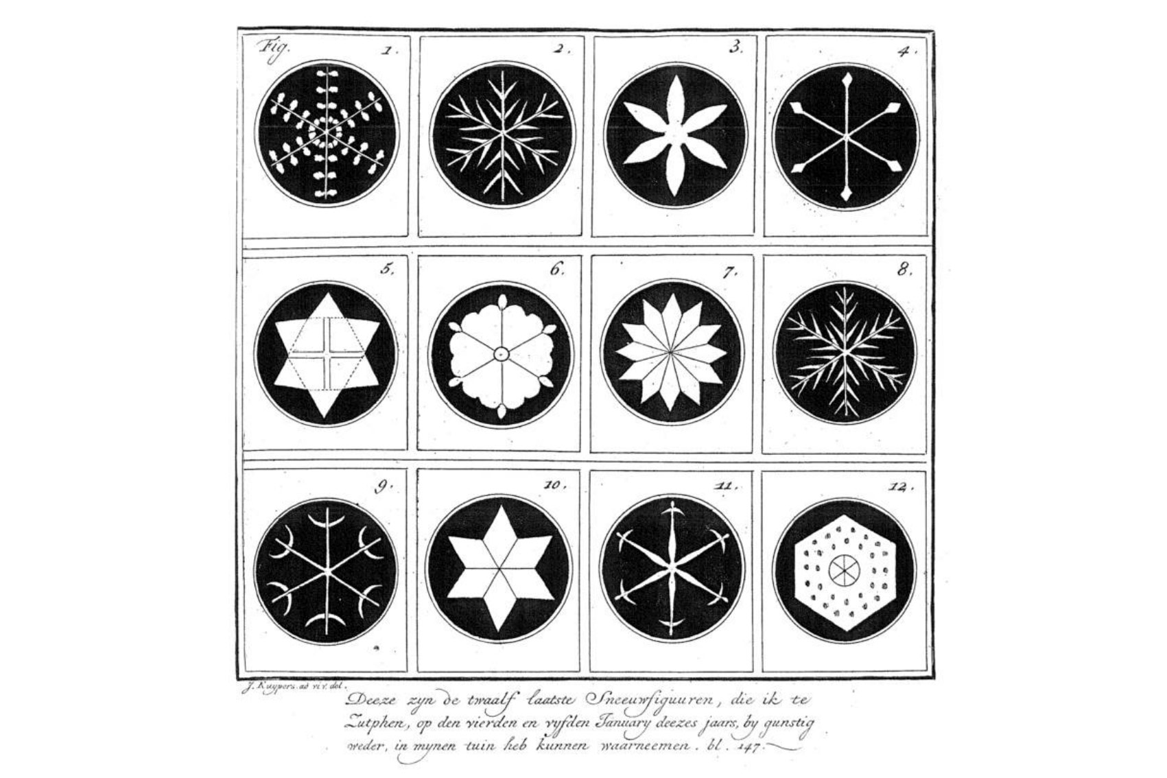 Museum Garden Hof van Heeckeren by LOLA landscape architects - Architizer