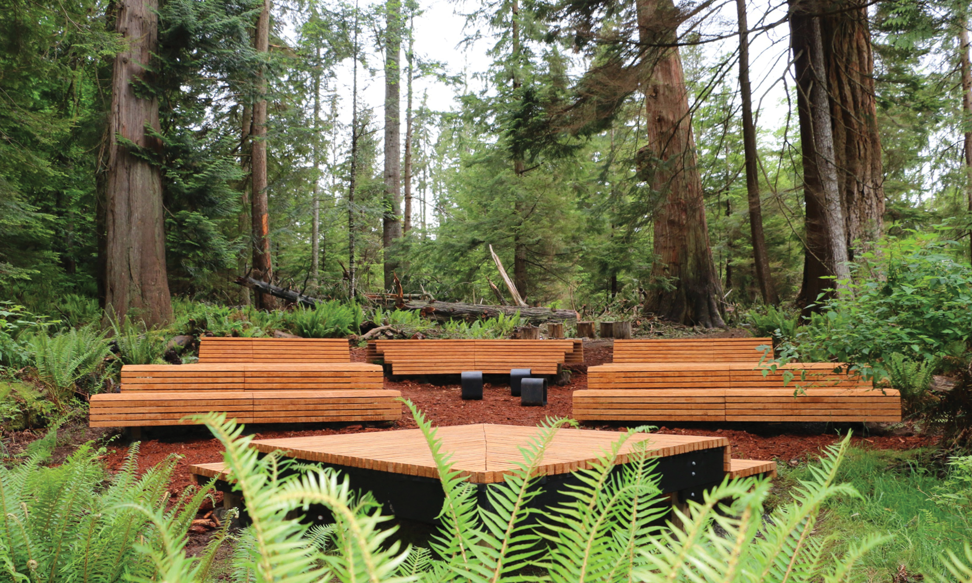 Amphitheatre by SALA Design+Build - Architizer