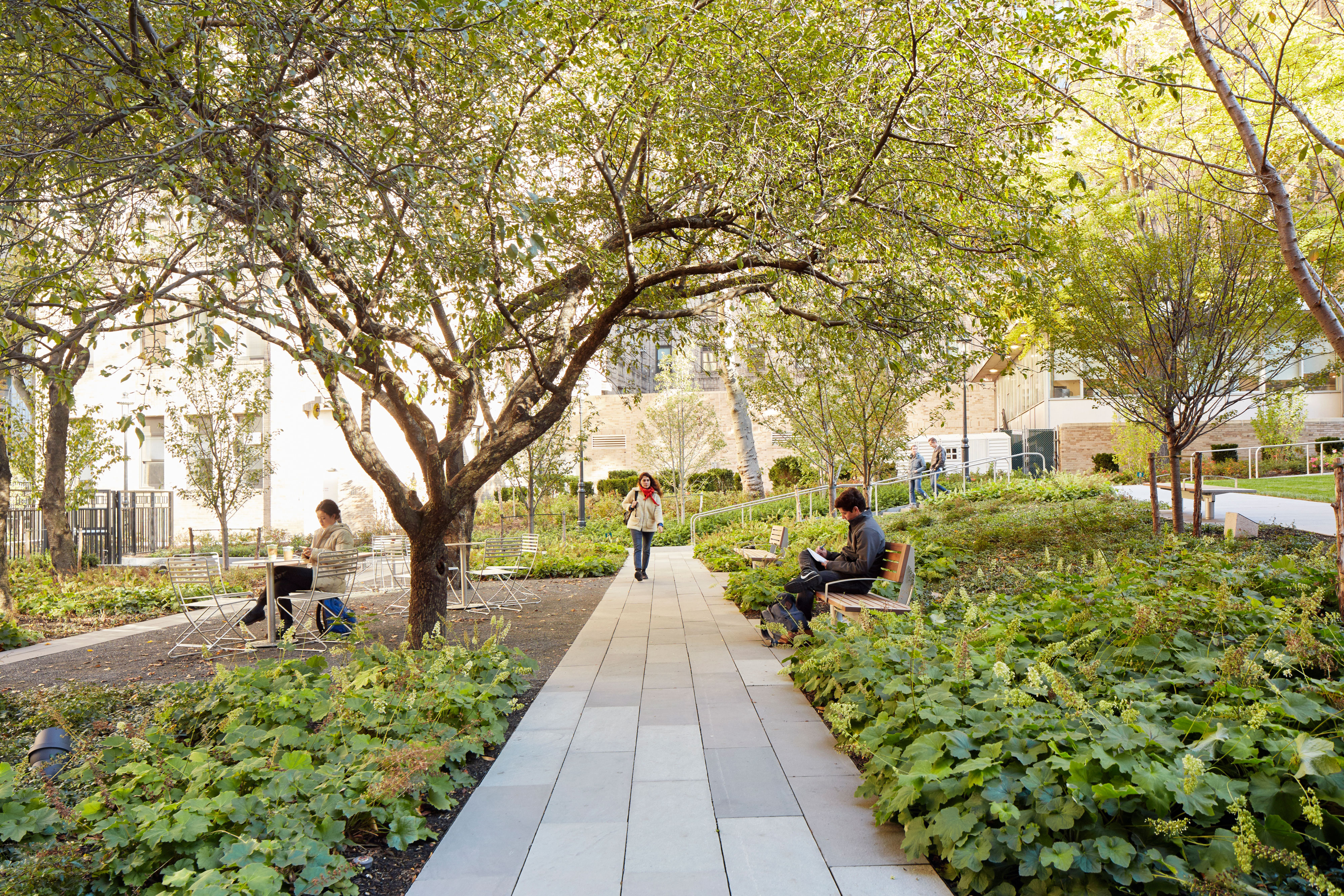 SCAPE Landscape Architecture D.P.C. - Architizer