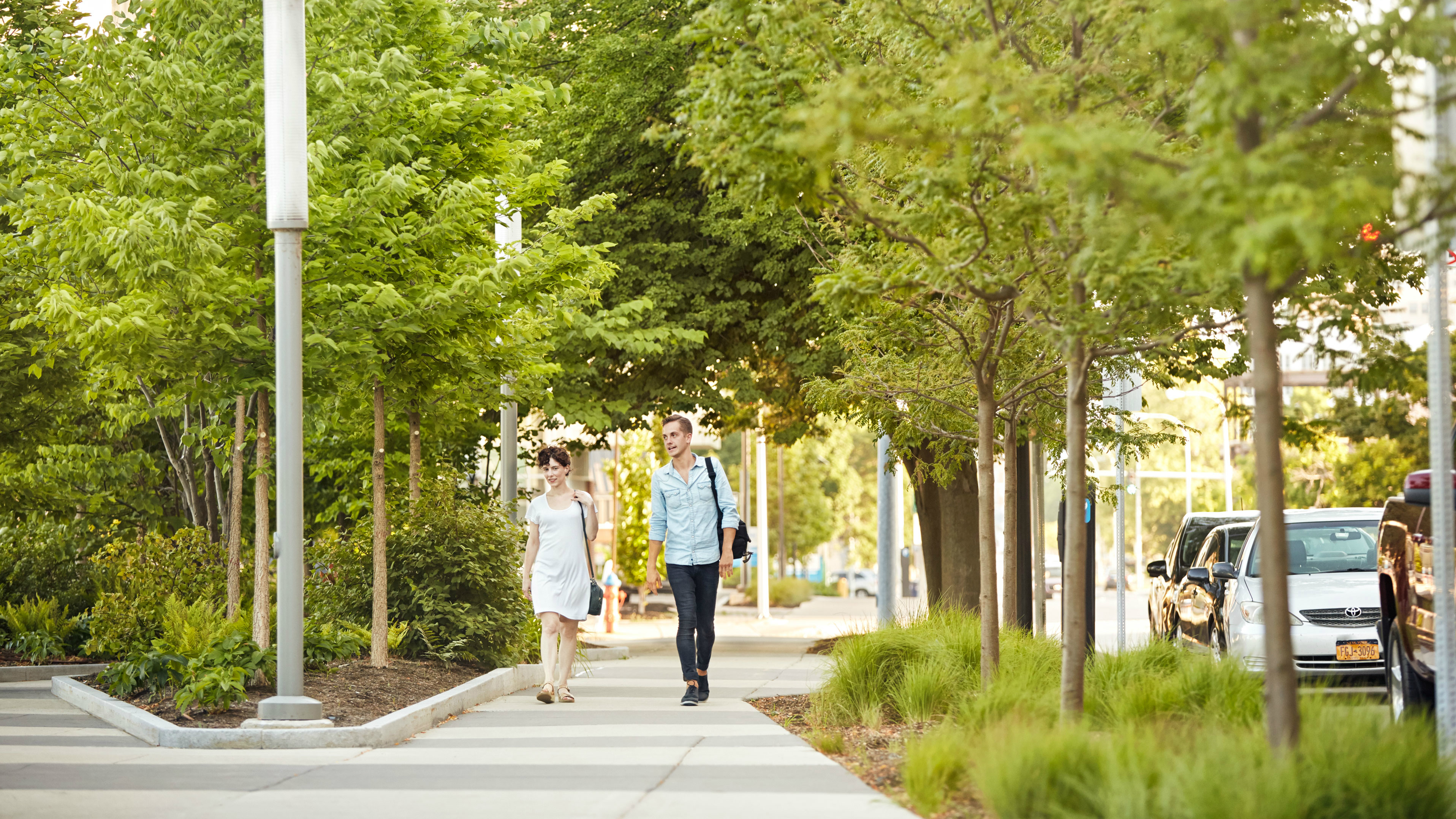 Idea 2163523: Buffalo Niagara Medical Campus Streetscape by SCAPE ...
