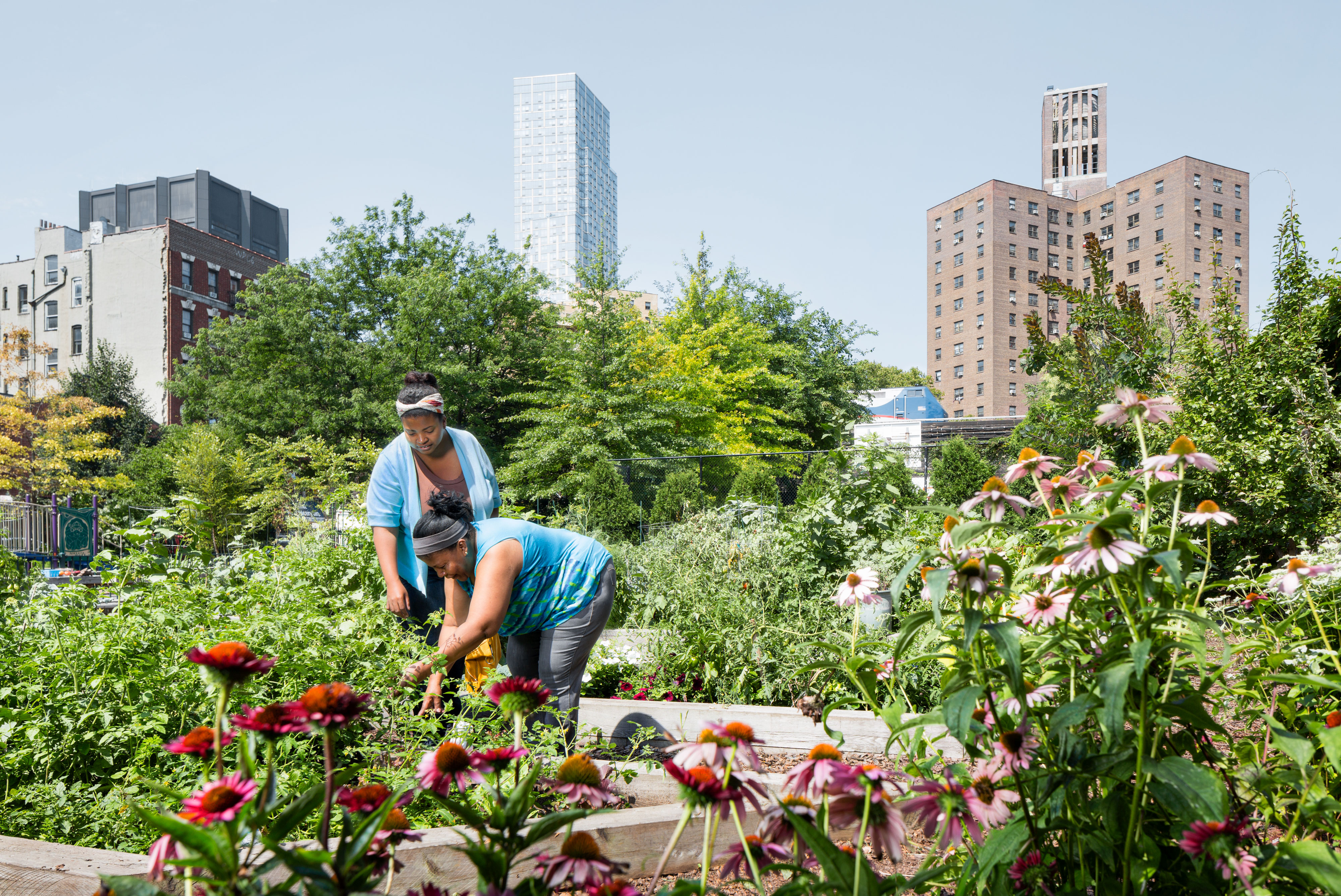 Idea 2163537: 103rd Street Community Garden by SCAPE Landscape ...