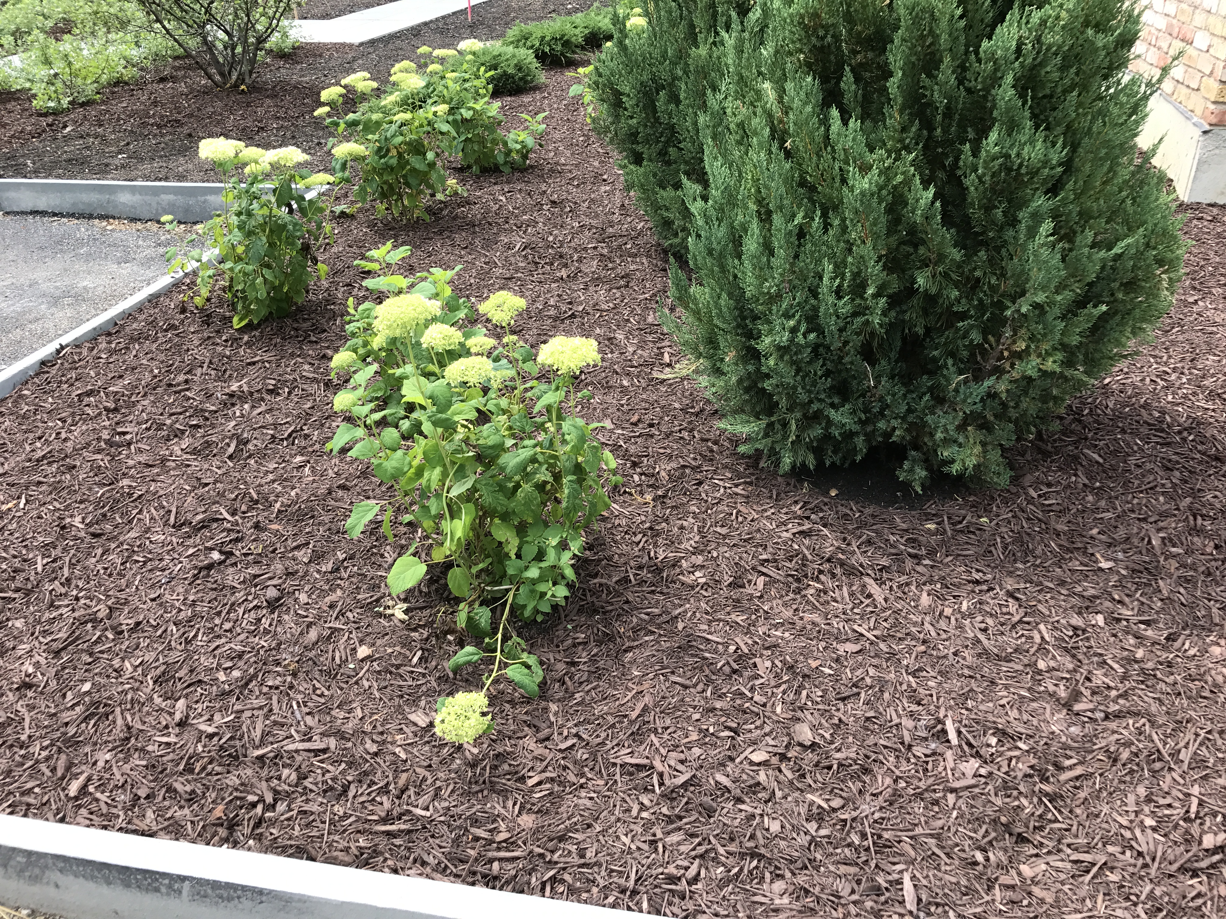 Contemporary Burr Ridge Home by Mark Eric Benner - Architects, Ltd ...