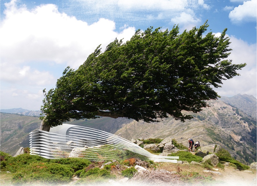 Conceptual Competition of Architecture and Wind by Paya Payrang ...