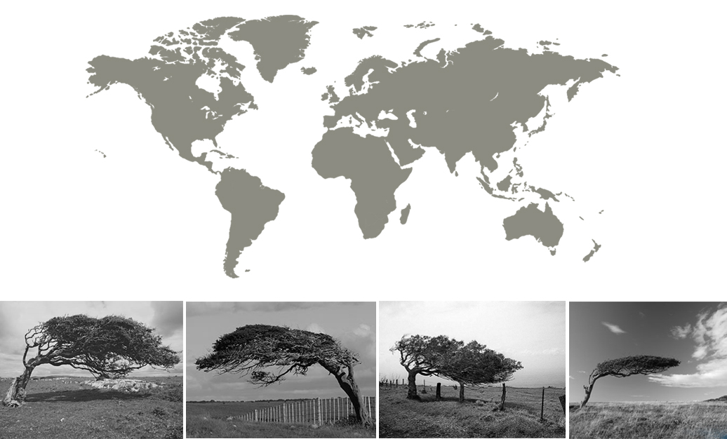 Conceptual Competition of Architecture and Wind by Paya Payrang ...