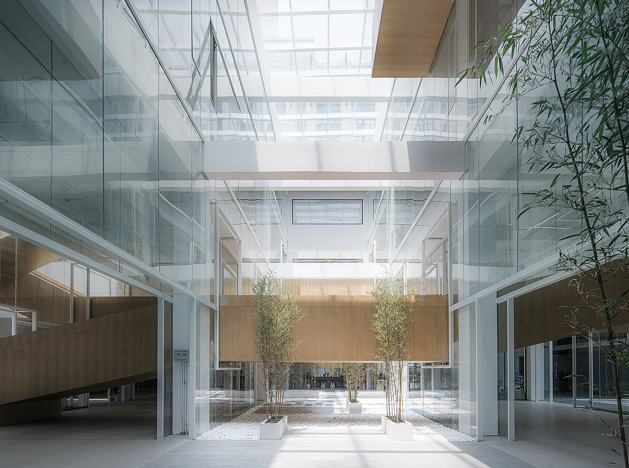 Twist and Turn: 6 Angled Windows That Will Warp Your Expectations ...