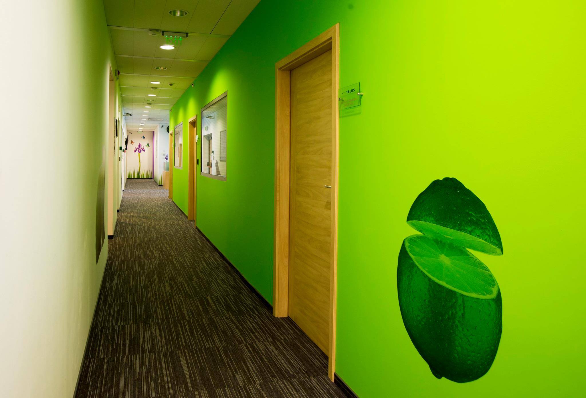 Telus International Europe Headquarters Sofia Re-branding by ...