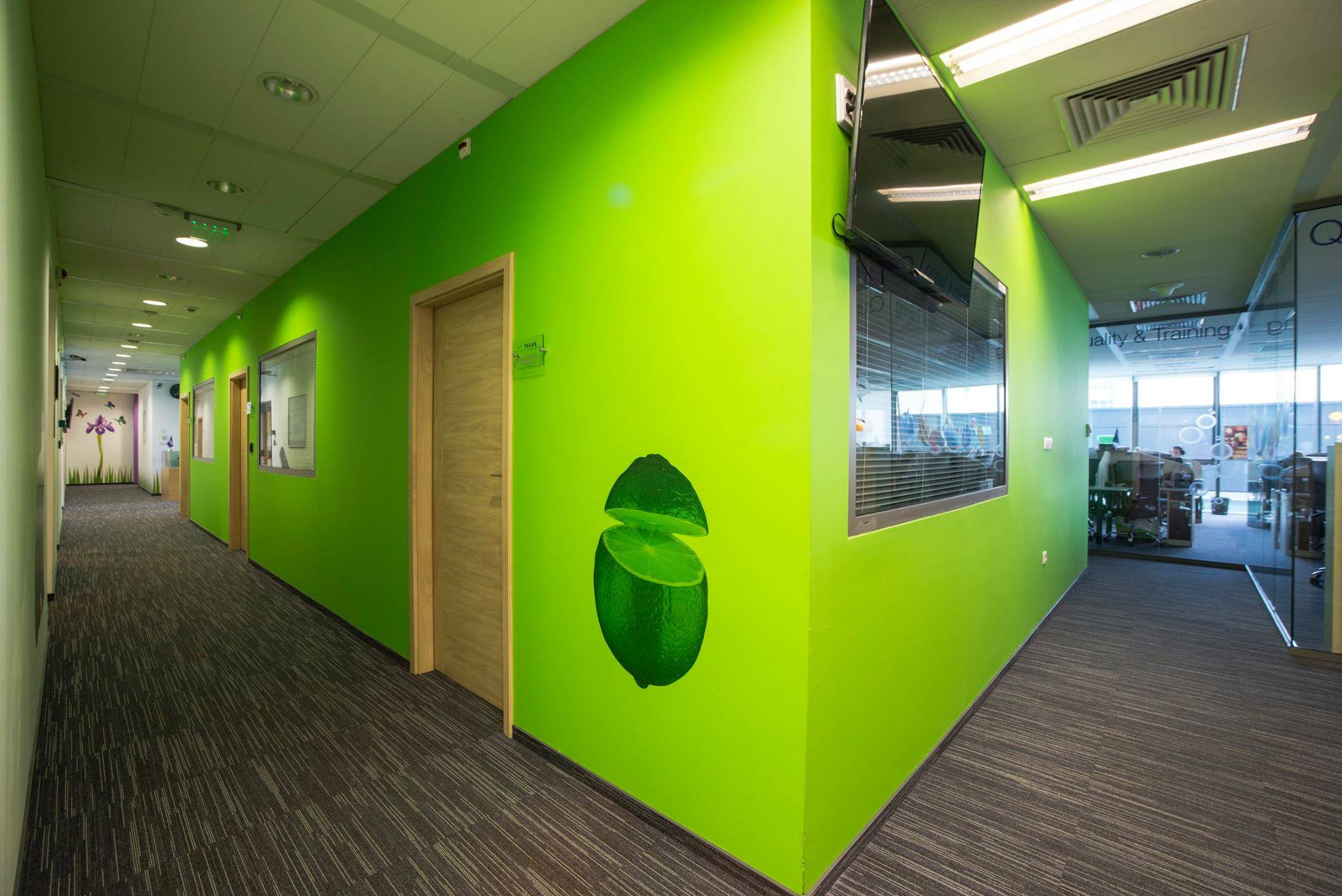 Telus International Europe Headquarters Sofia Re-branding by ...