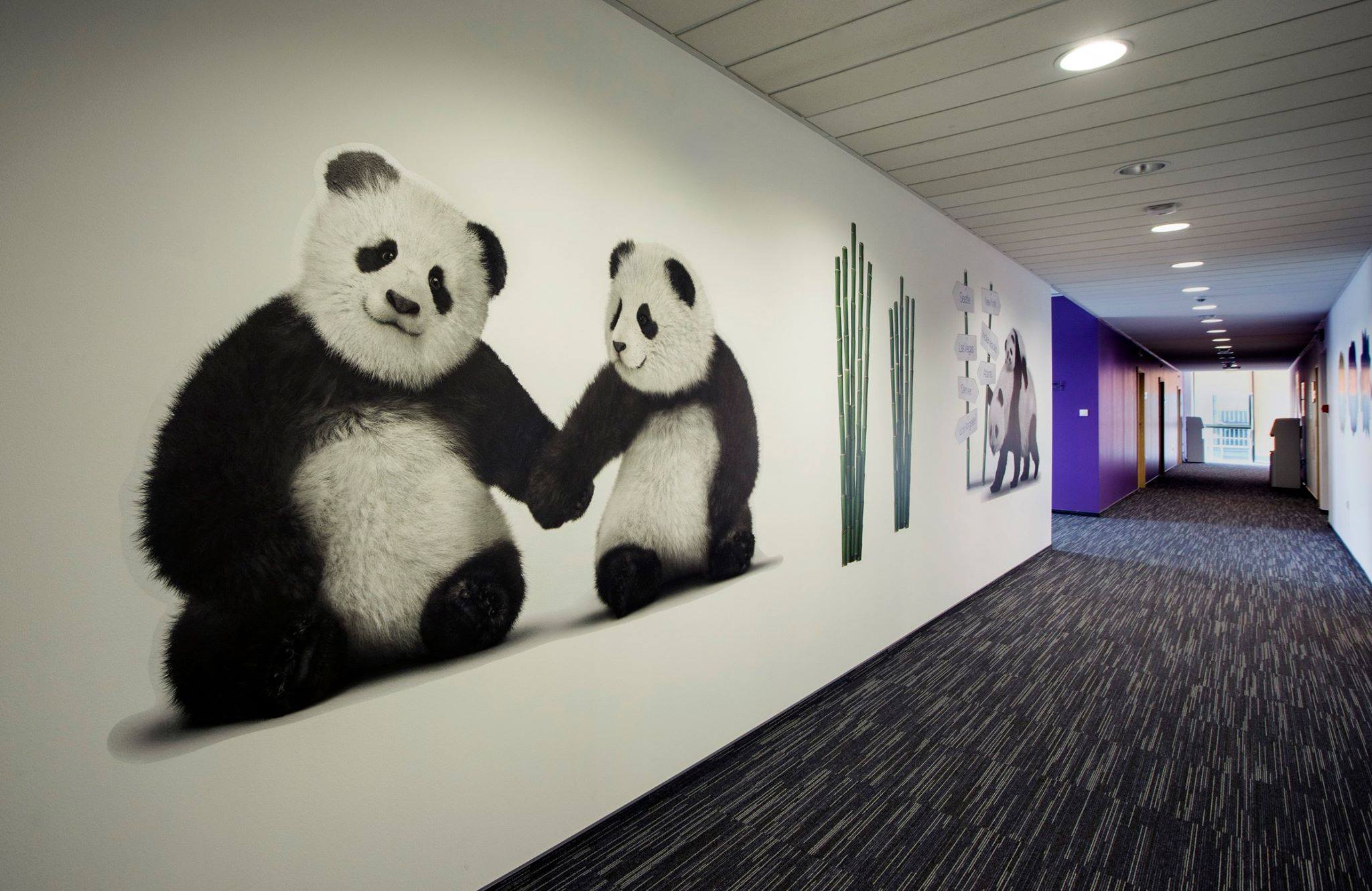 Telus International Europe Headquarters Sofia Re-branding by ...