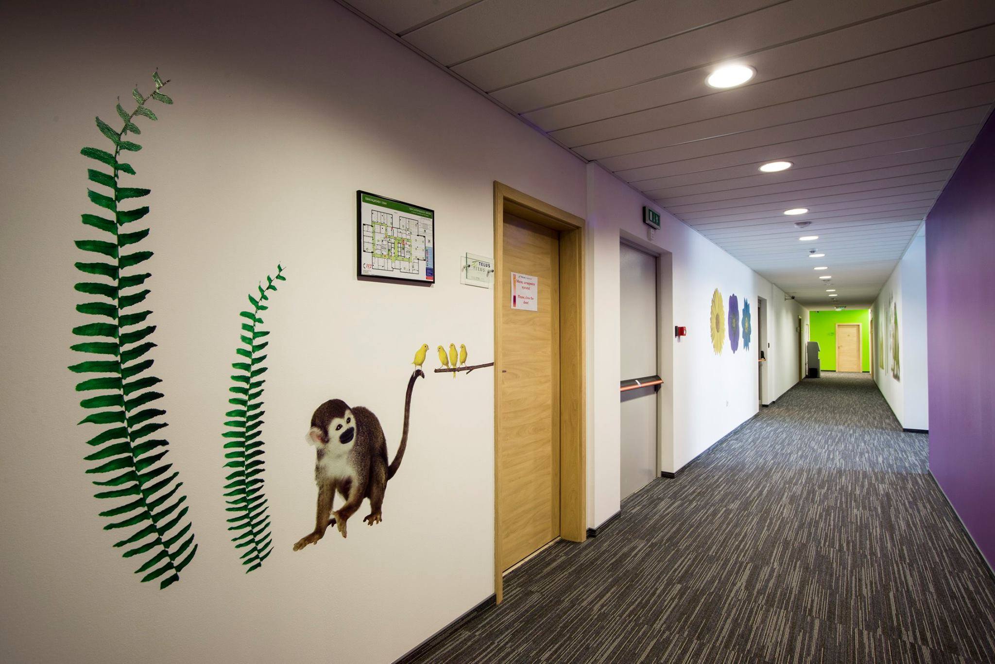 Telus International Europe Headquarters Sofia Re-branding by ...