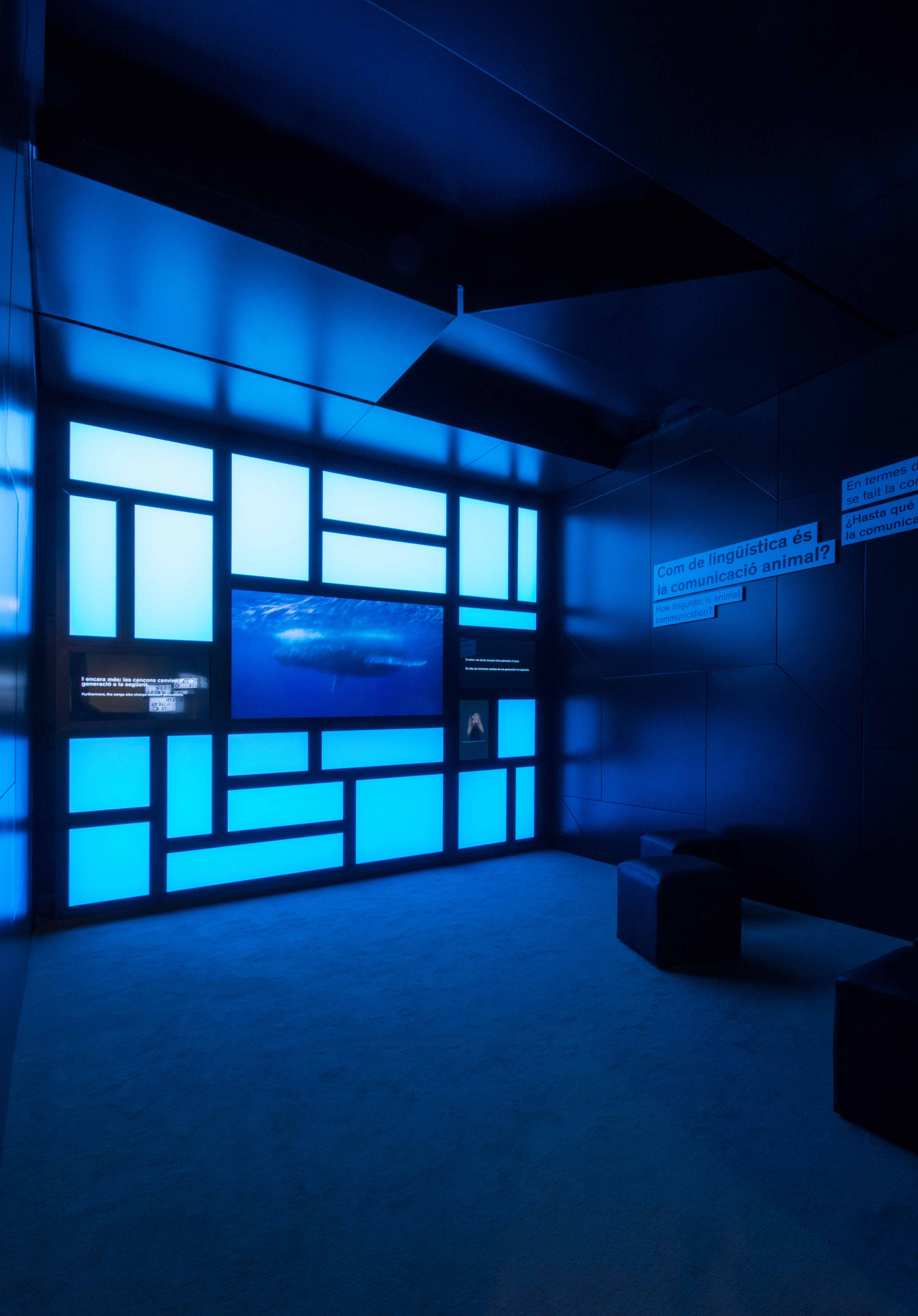 TALKING BRAINS. COSMOCAIXA. INTERACTIVE EXHIBITION. by Indissoluble S.L ...