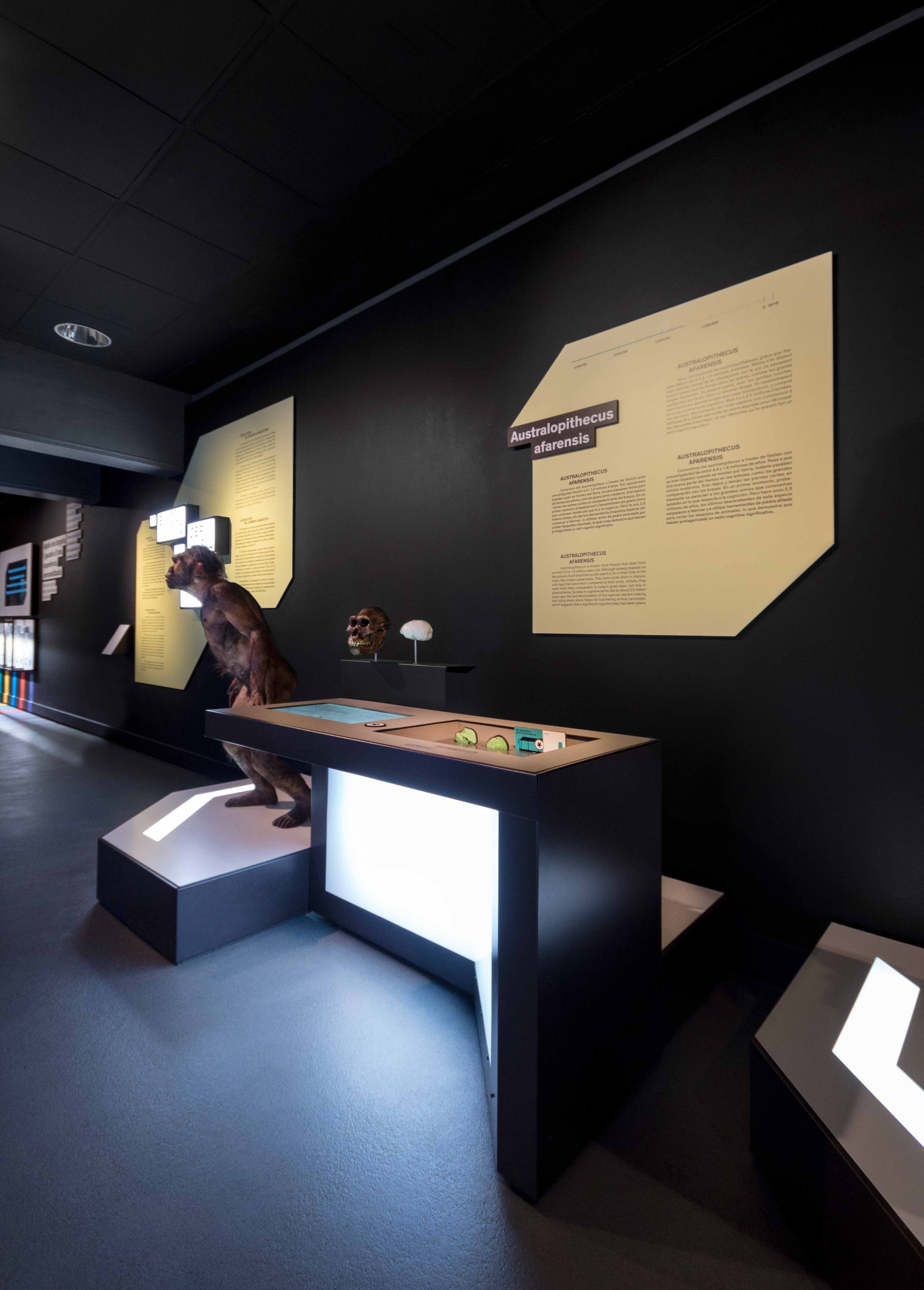 TALKING BRAINS. COSMOCAIXA. INTERACTIVE EXHIBITION. by Indissoluble S.L ...