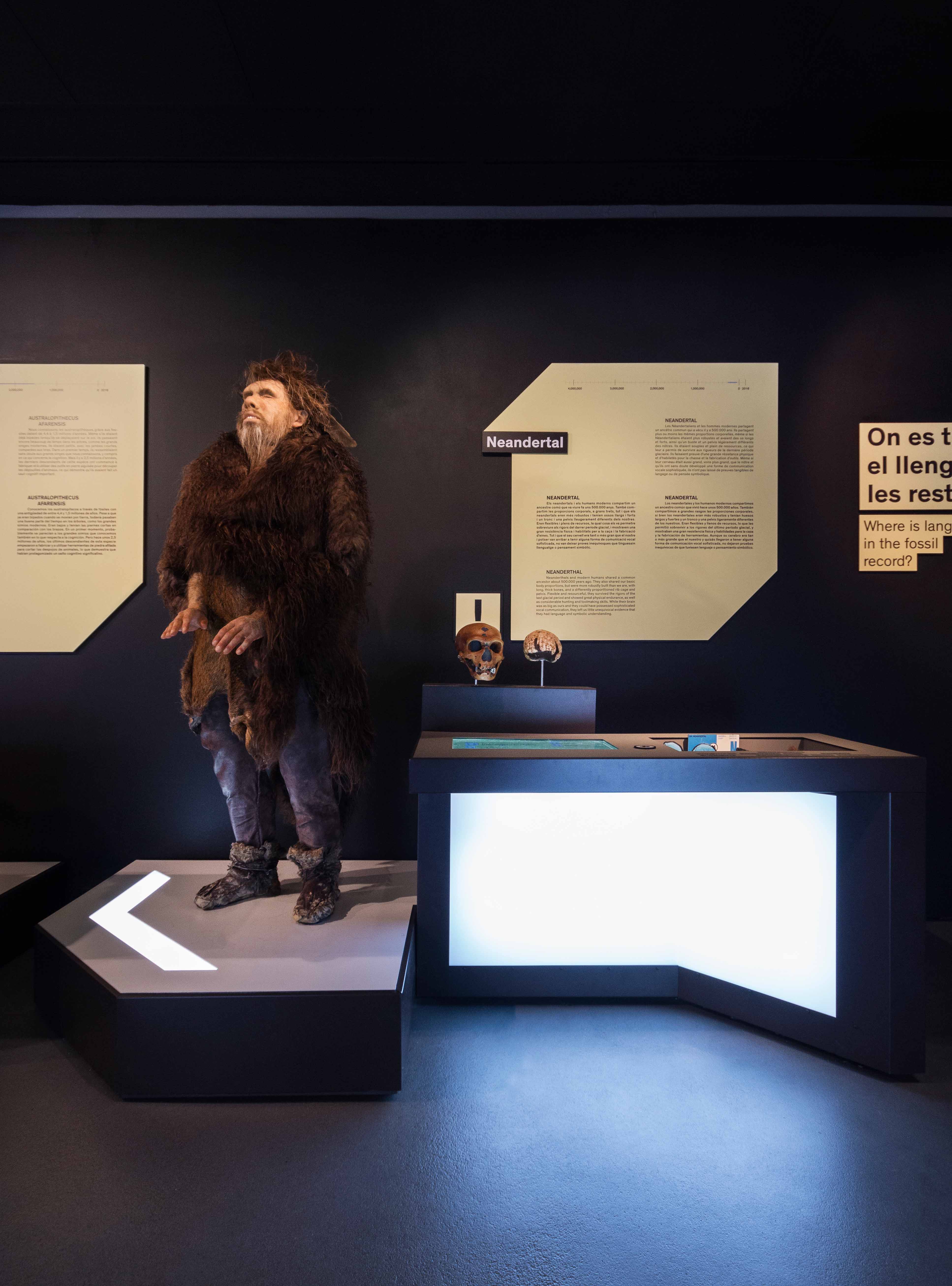 TALKING BRAINS. COSMOCAIXA. INTERACTIVE EXHIBITION. by Indissoluble S.L ...