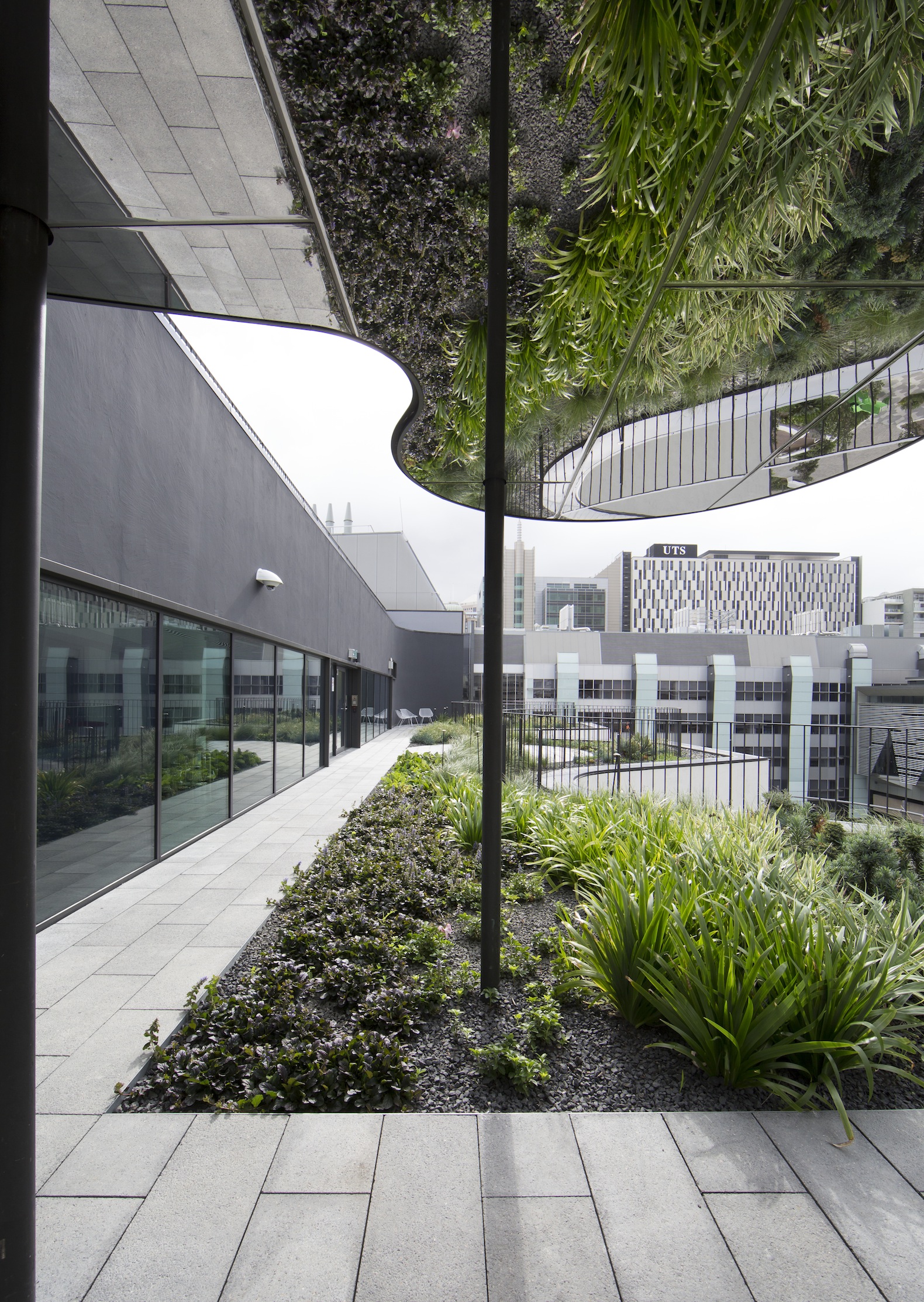 UTS THOMAS ST BUILDING by Durbach Block Jaggers Architects - Architizer