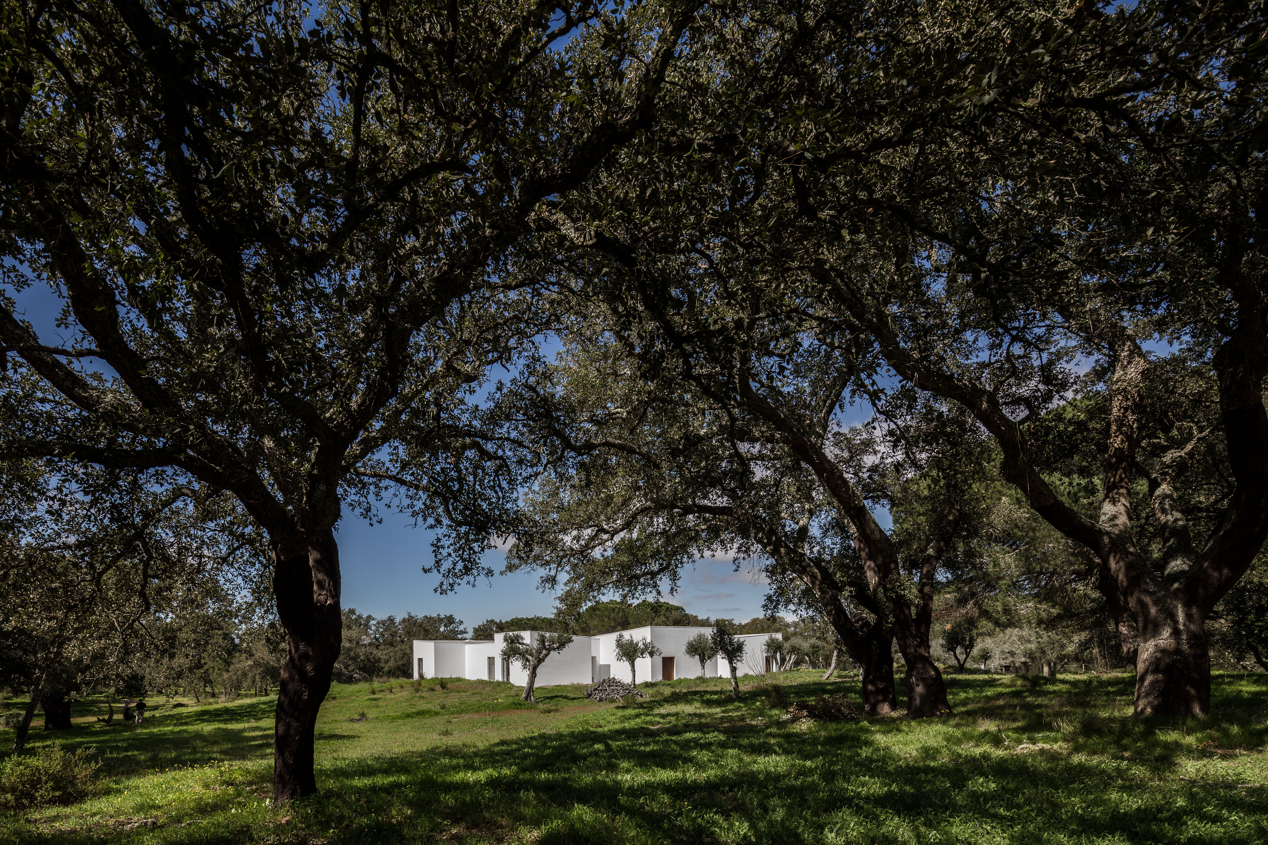 100 Most Popular Park Ideas - Architizer