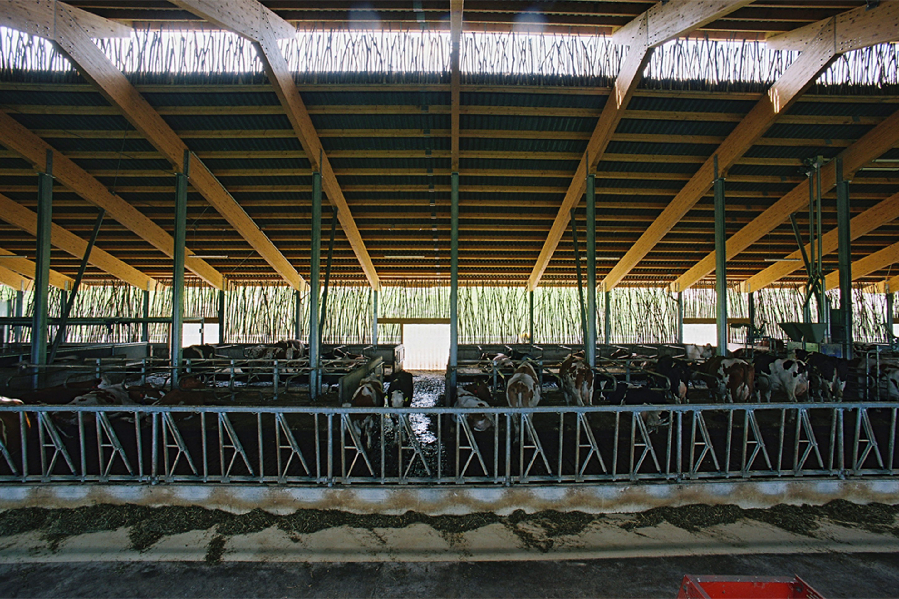Cow Barn by F.A.B. - Forschungs- und Architekturbüro - Architizer