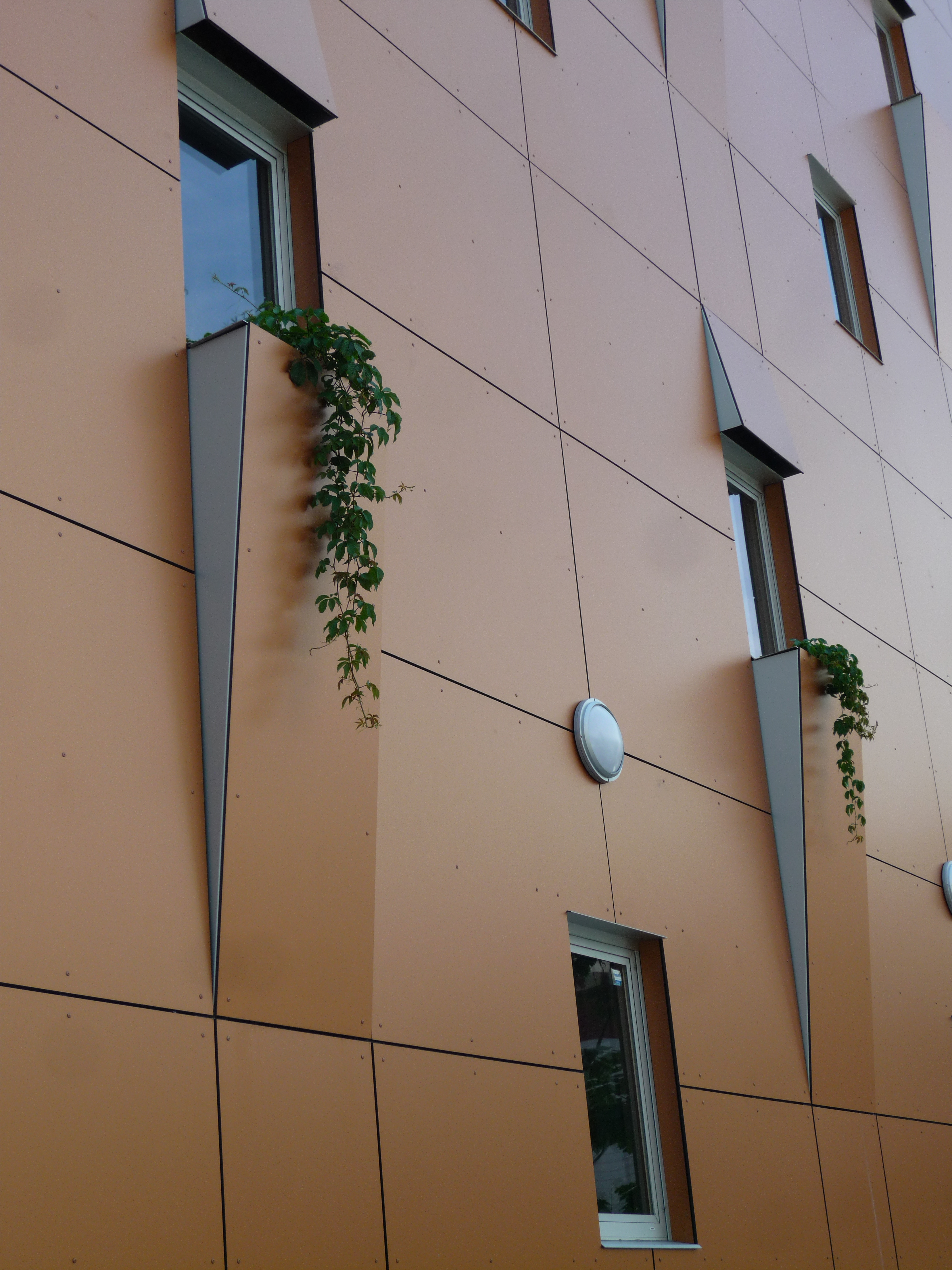 491 Fletcher Street by Chris Benedict R.A. - Architizer