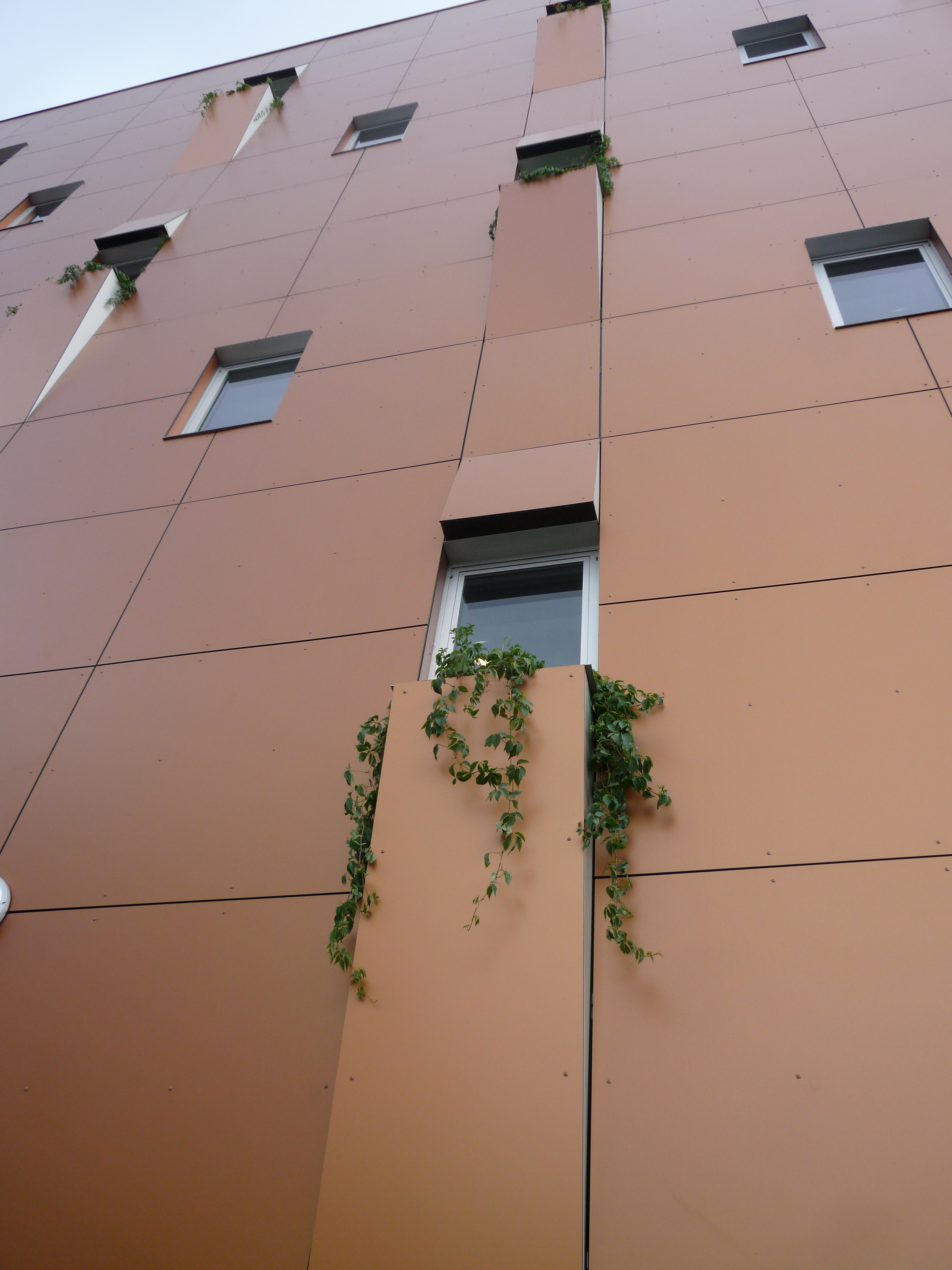 491 Fletcher Street by Chris Benedict R.A. - Architizer