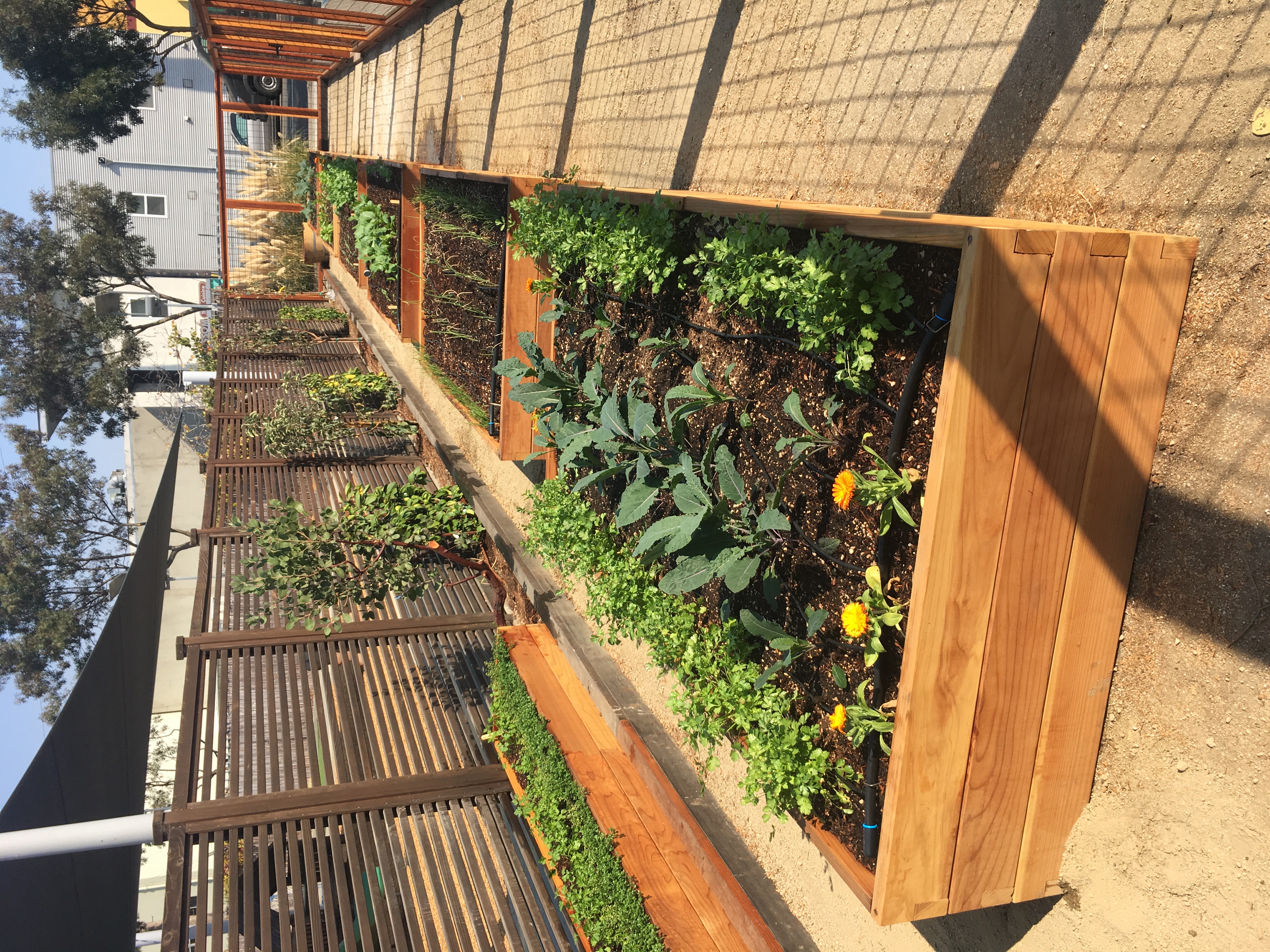 CLIF Bar Farm by Farmscape - Architizer