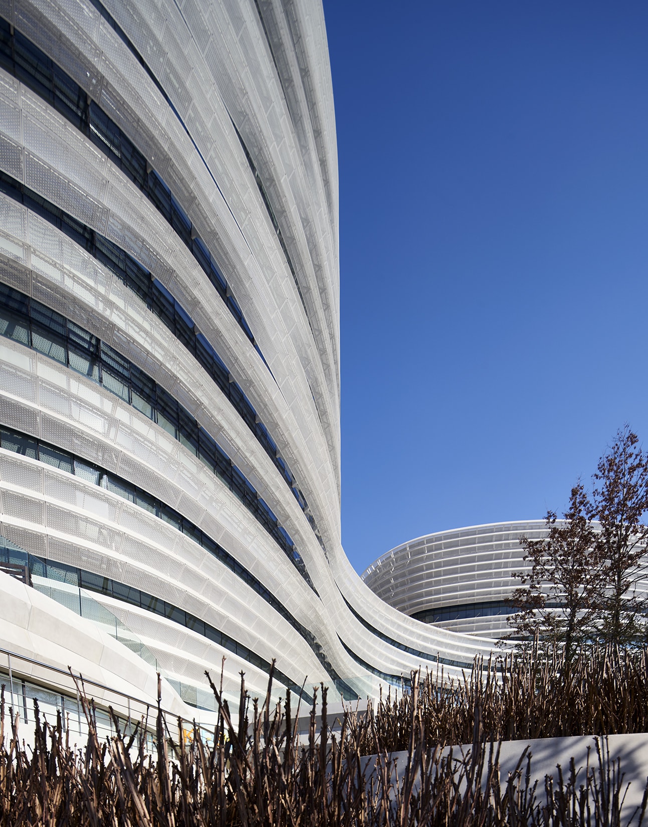 CJ Corporation, CJ Blossom Park by Yazdani Studio of CannonDesign ...