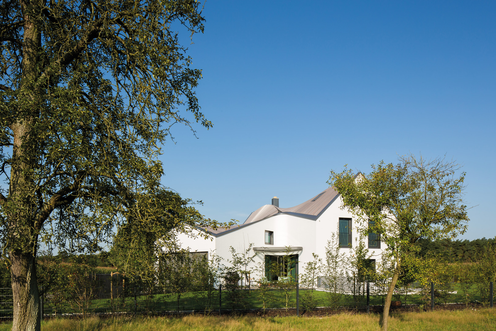 Treehugger by one fine day. office for architectural design - Architizer