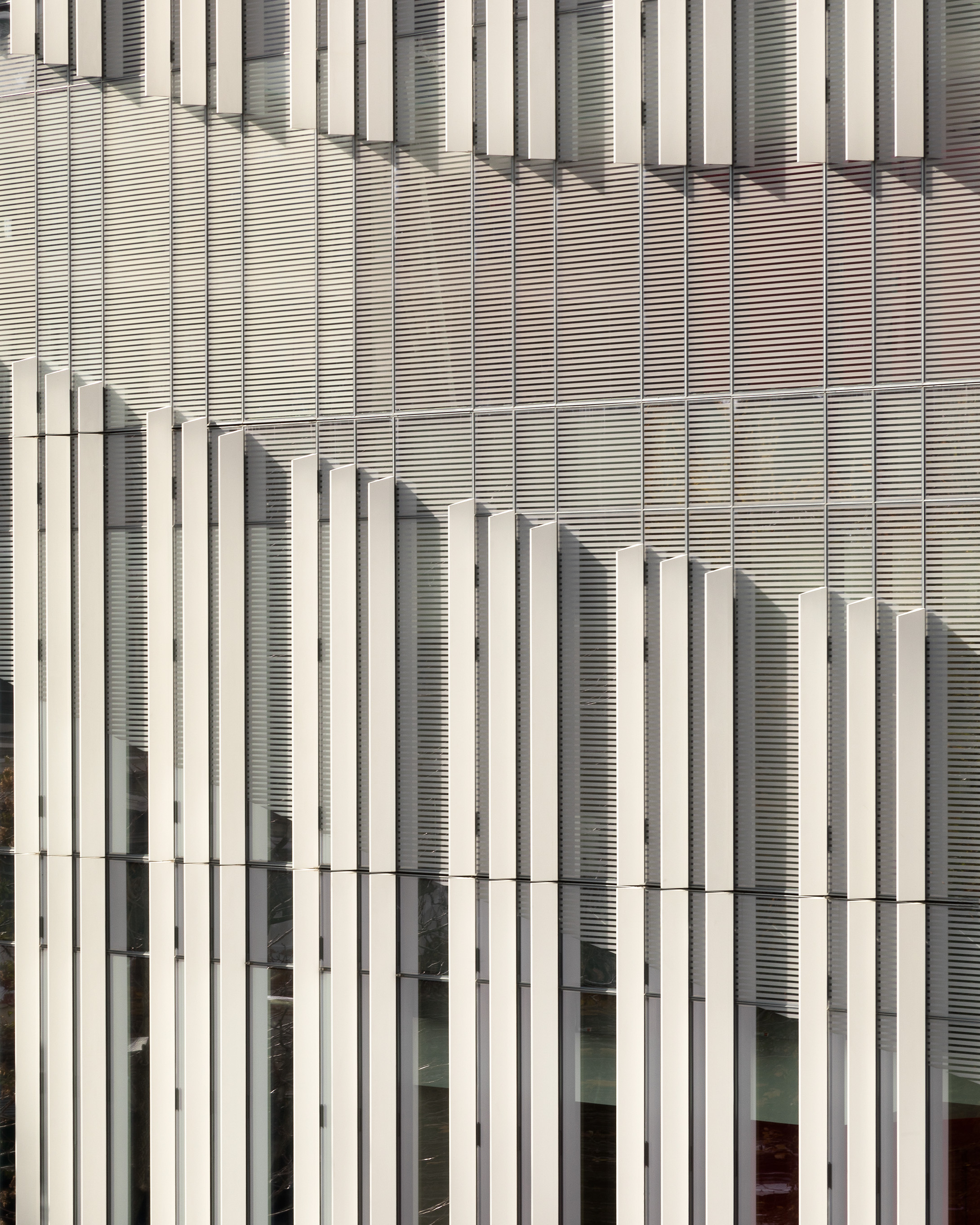 Brooklyn Health Center by Francis Cauffman - Architizer