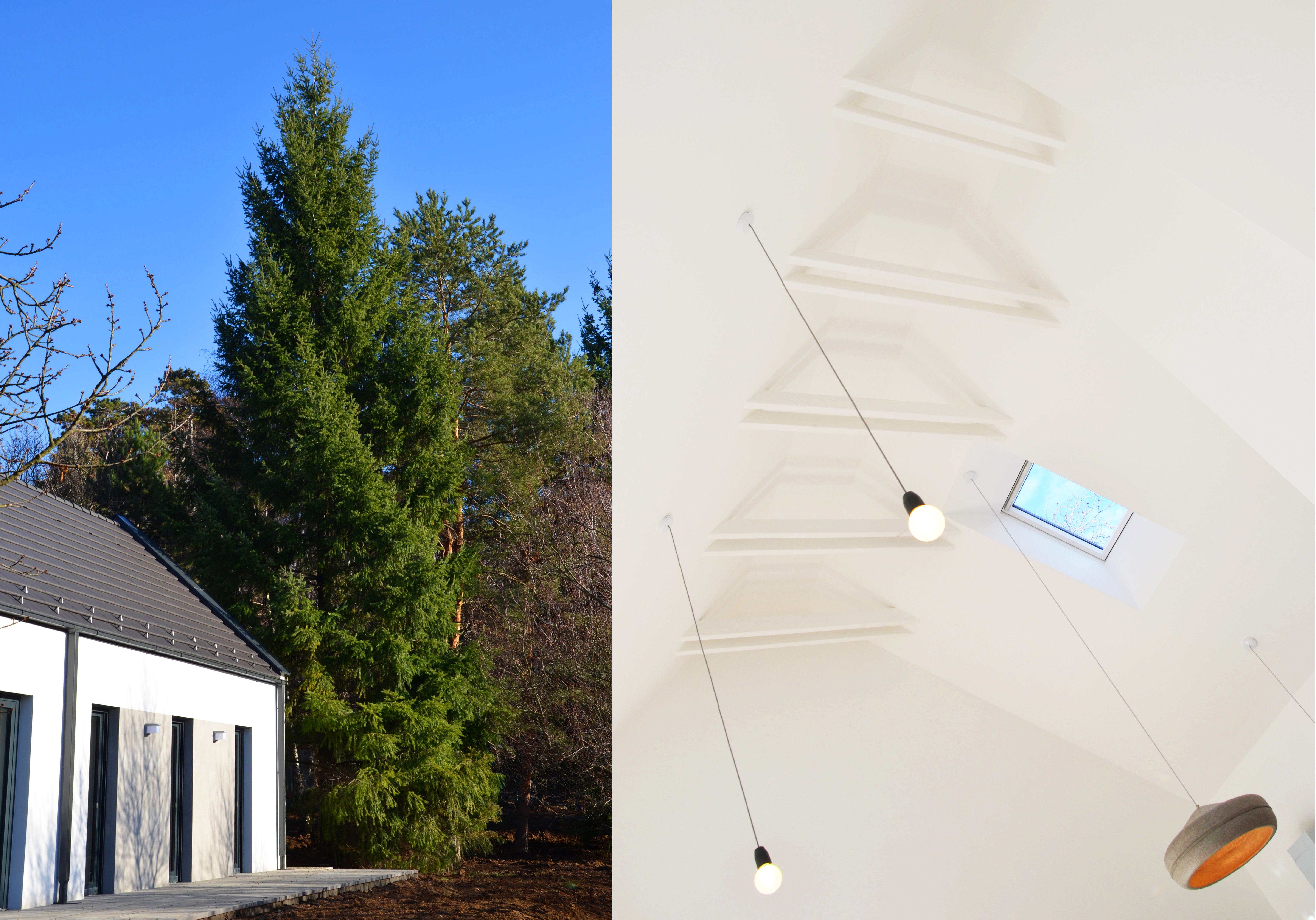 Functional family house - Architizer