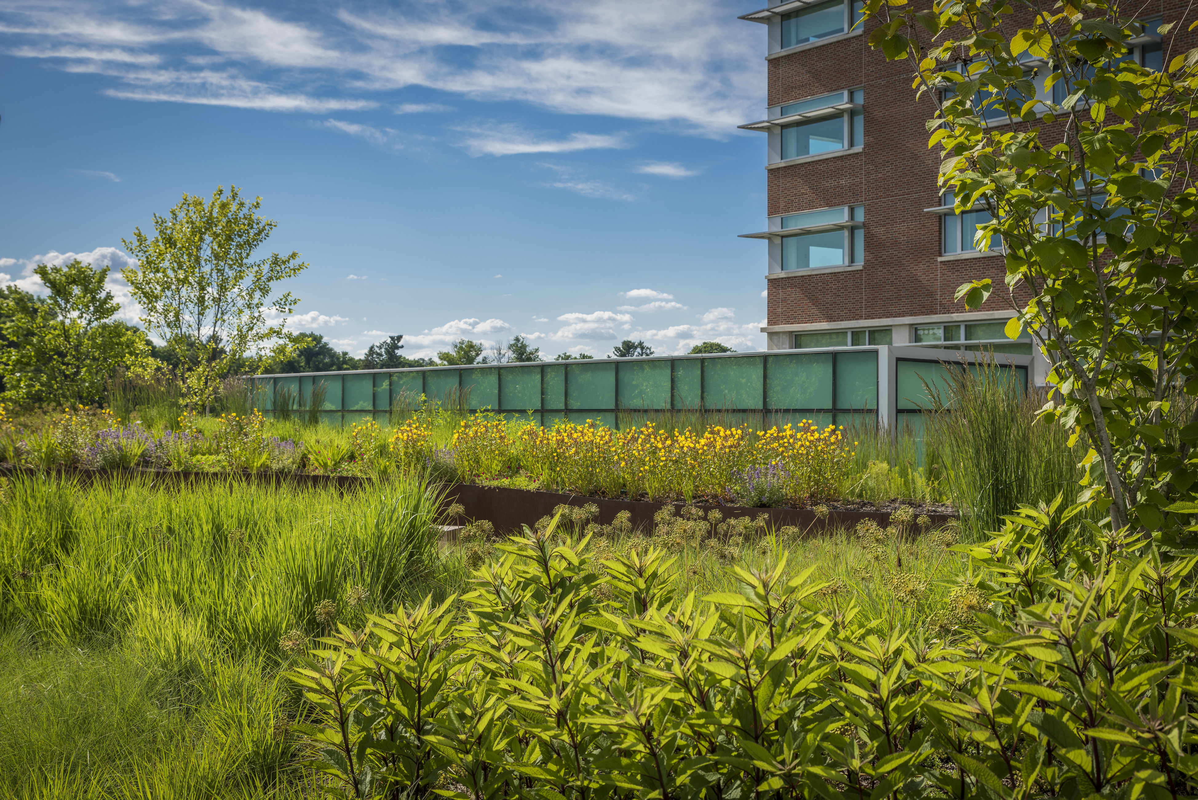 Tower Health System, Reading HealthPlex by Ballinger - Architizer