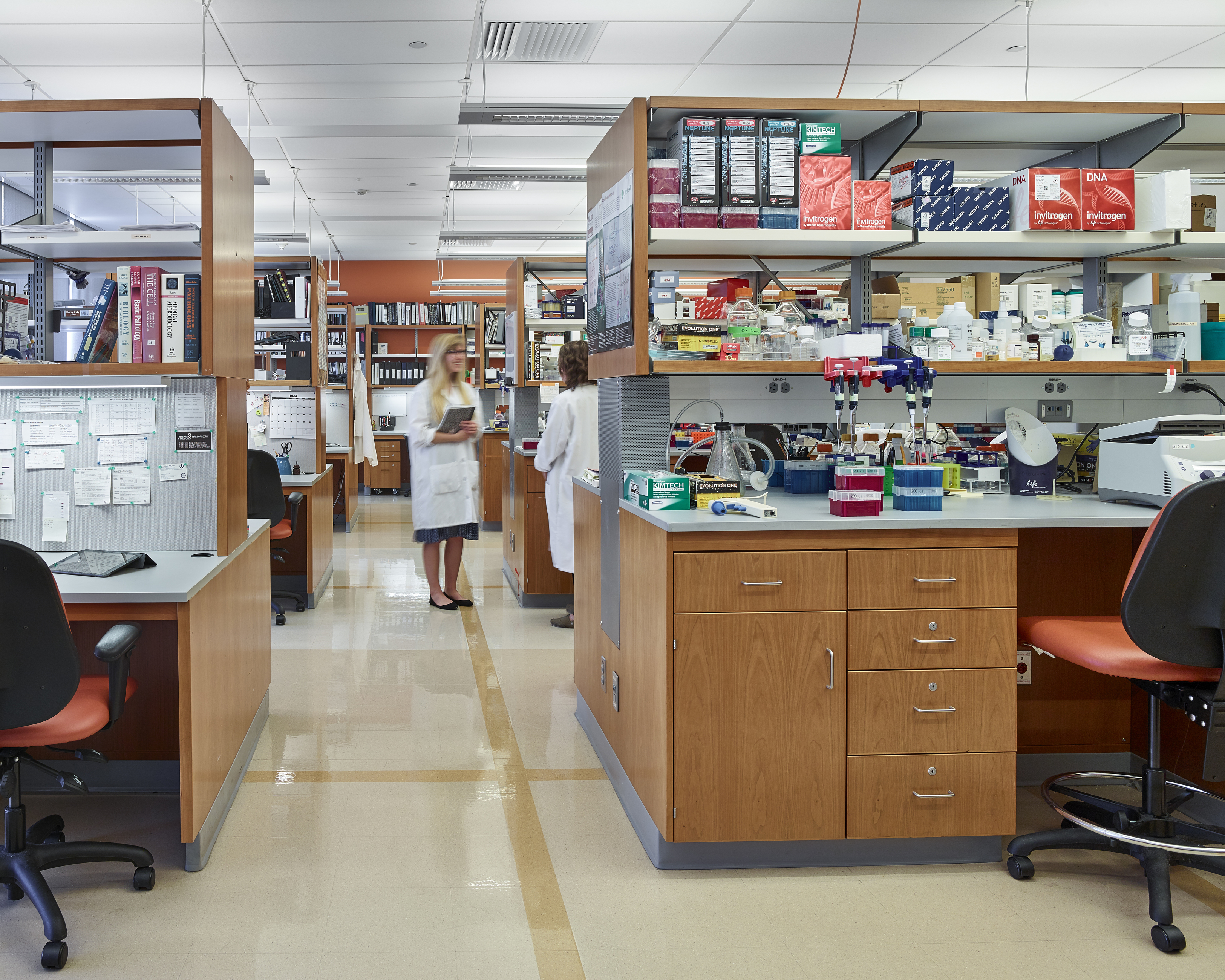 CHOP, Colket Translational Research Building by Ballinger - Architizer