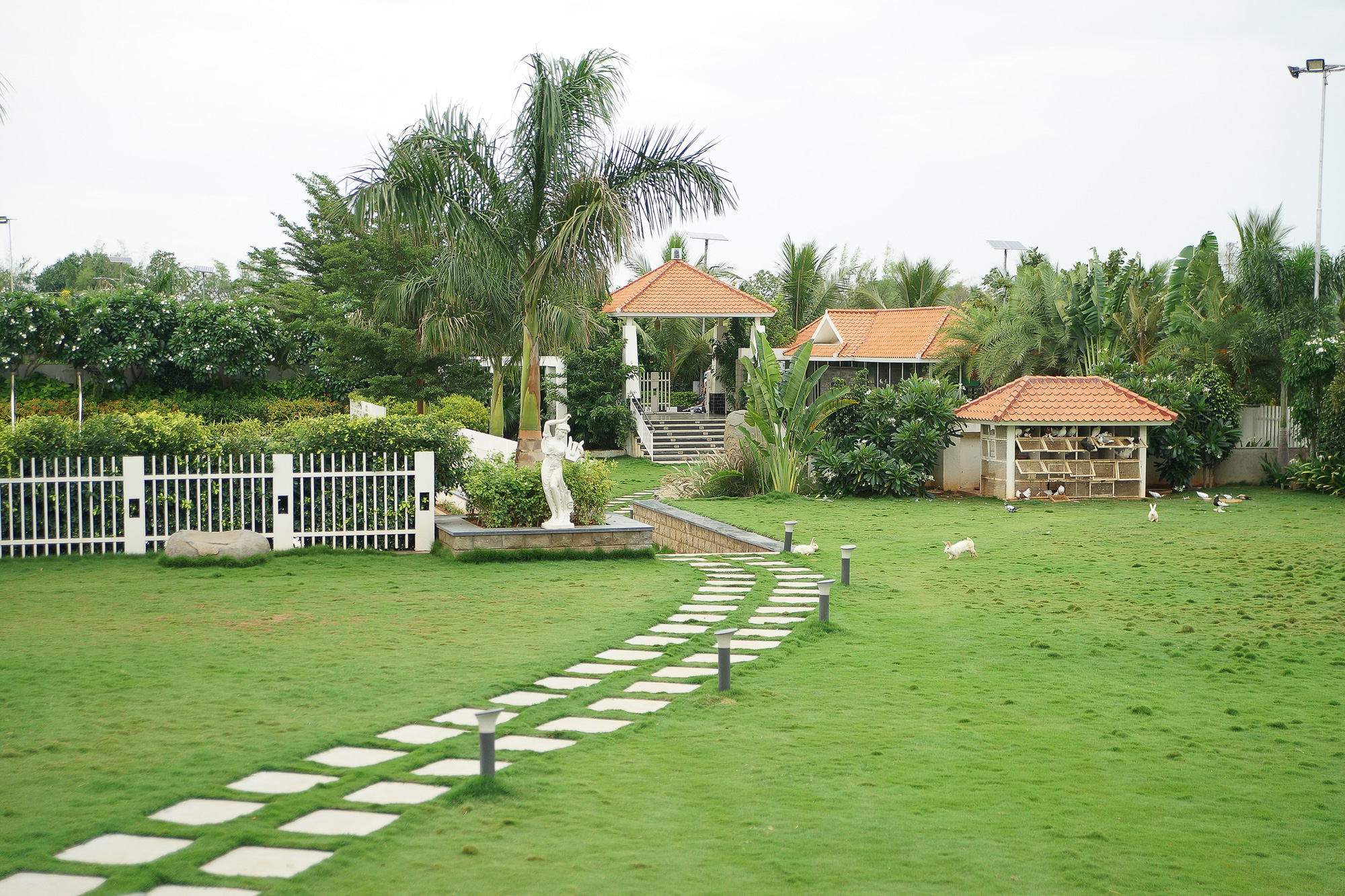 Idea 2379319: DHANTURI FARM HOUSE by iammies in Shadnagar, India ...