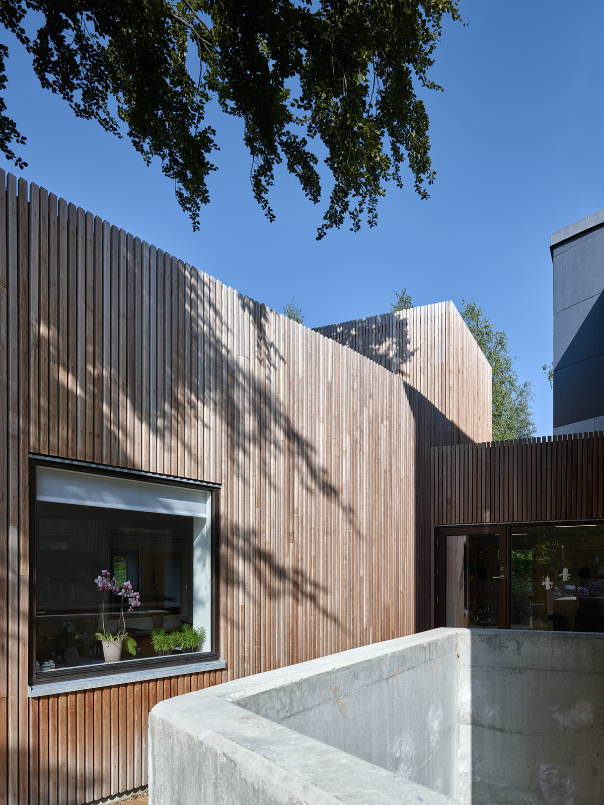 Forest House by Primus Architects - Architizer