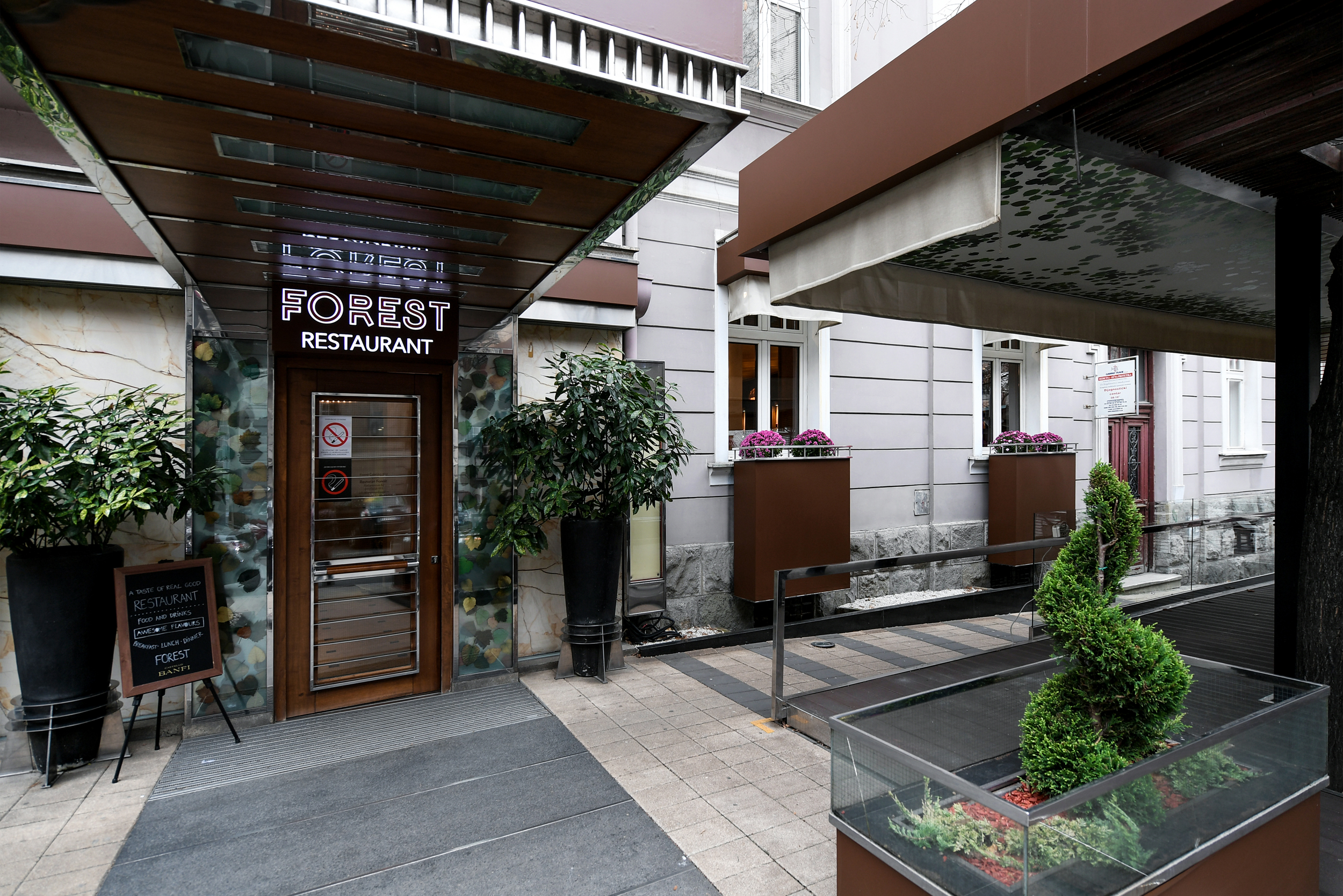 Restaurant Forest by Arterija studio - Architizer