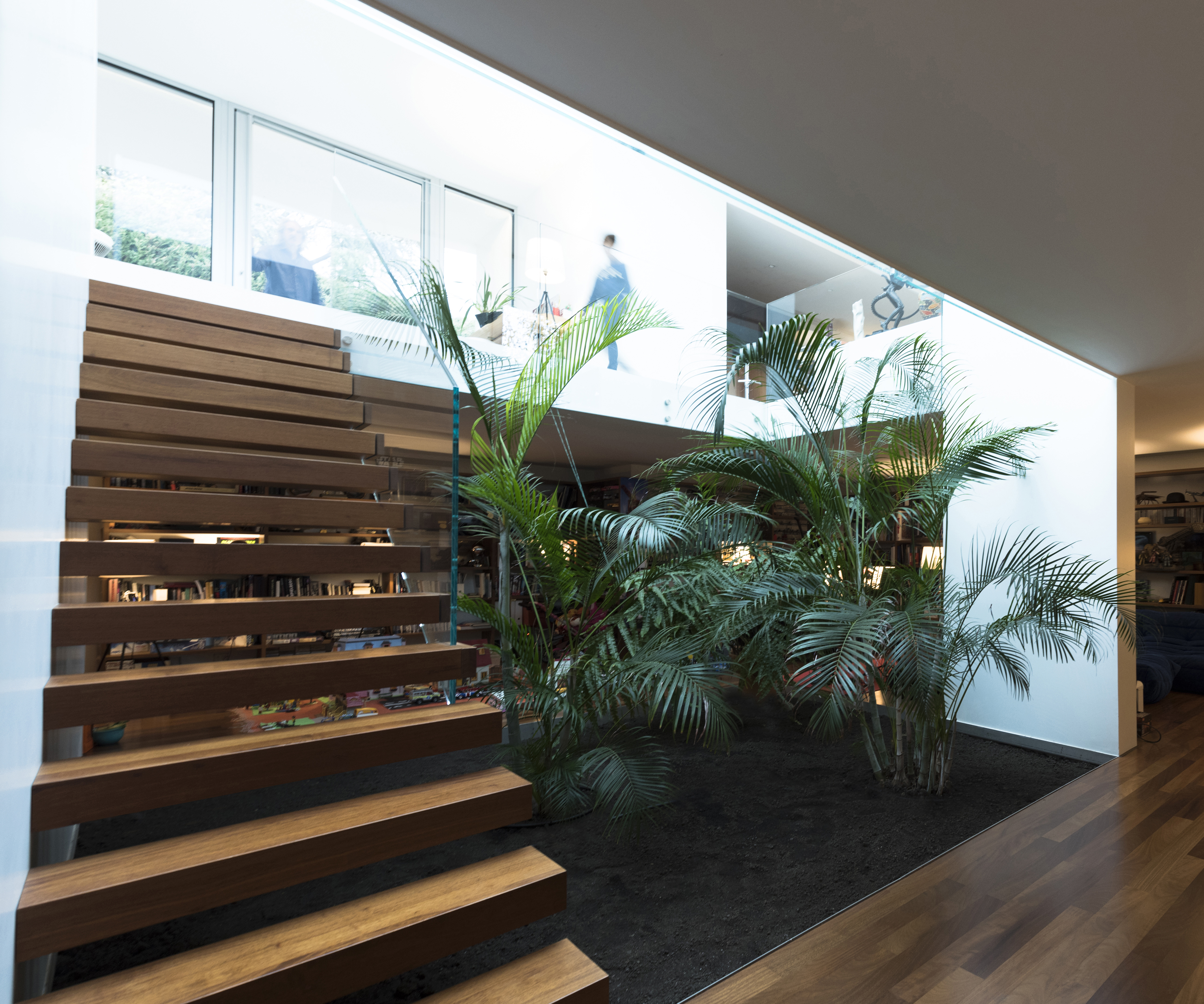 Sequoia House by Ganz Muller Architectes - Architizer