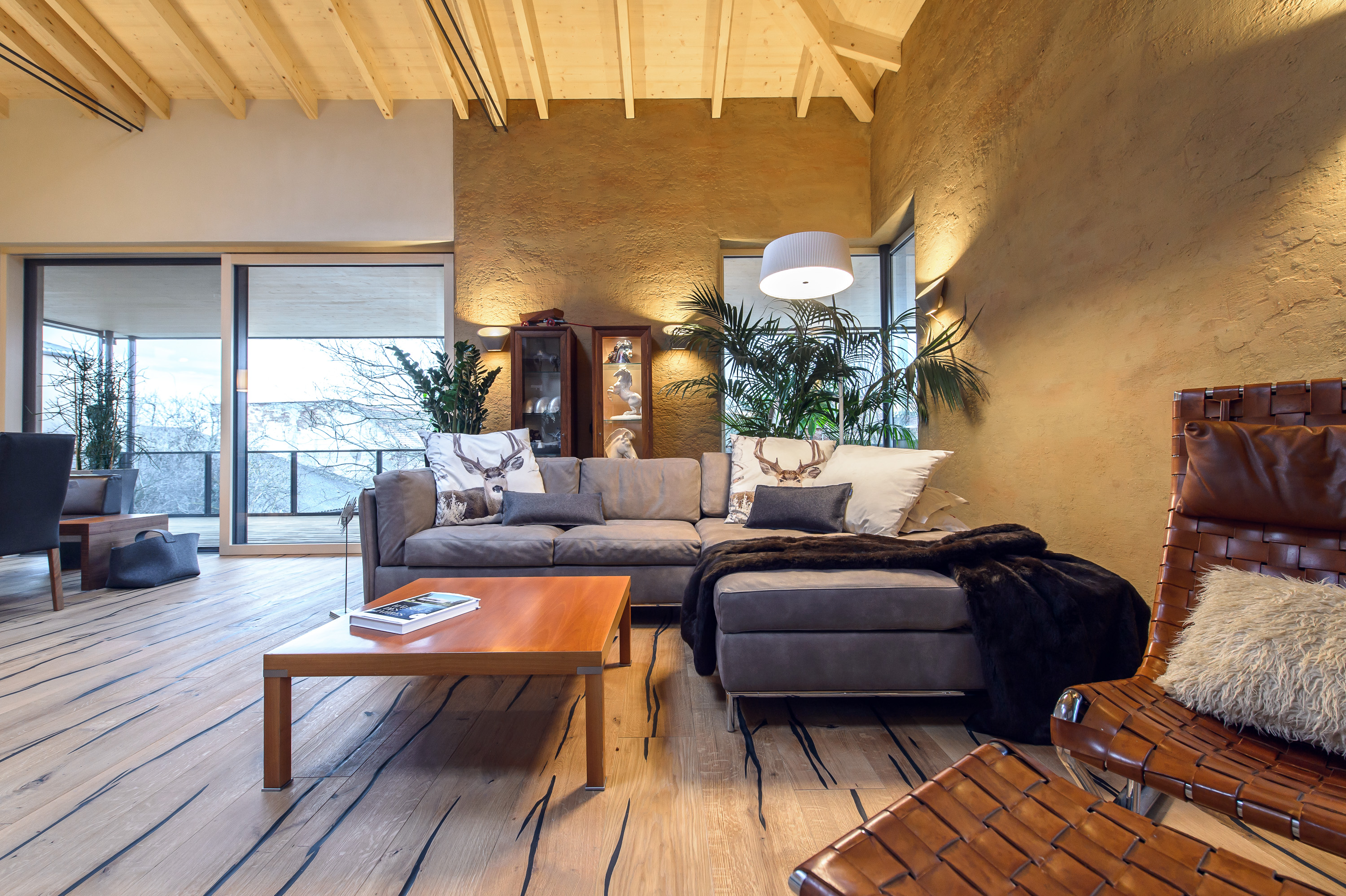 House T - Living in the treetops by Viereck Architects - Architizer